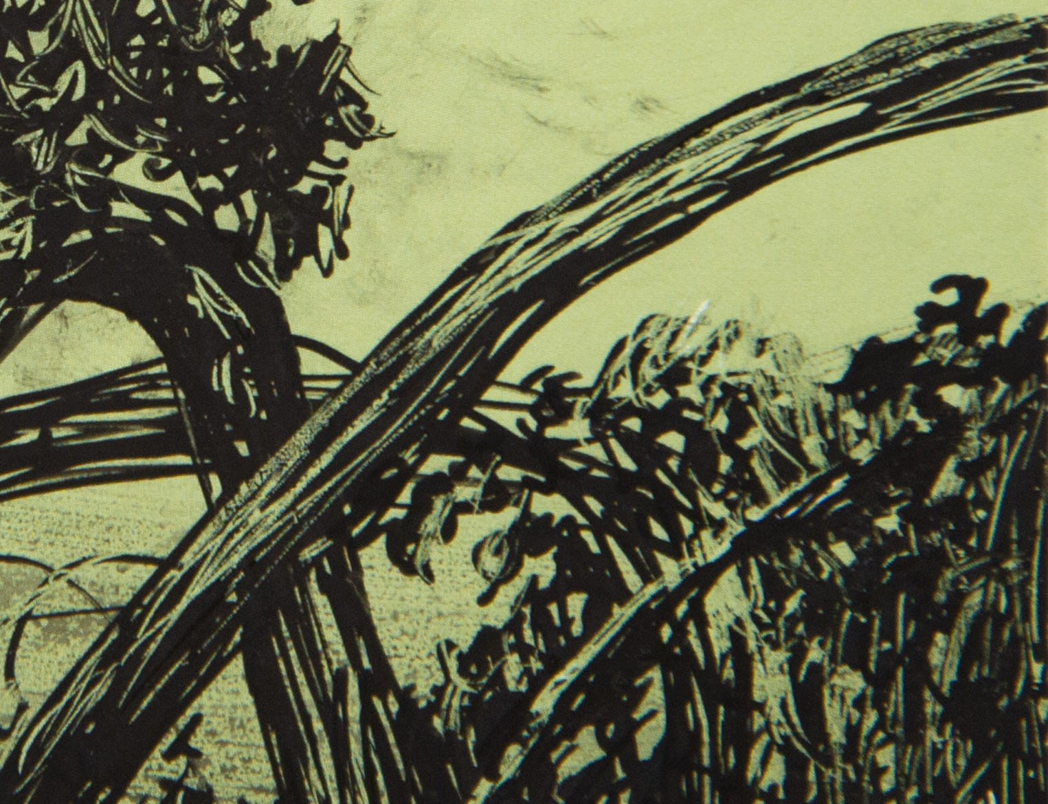 António Faria, PANTONE 7493, 2024 | THIS IS NOT A WHITE CUBE