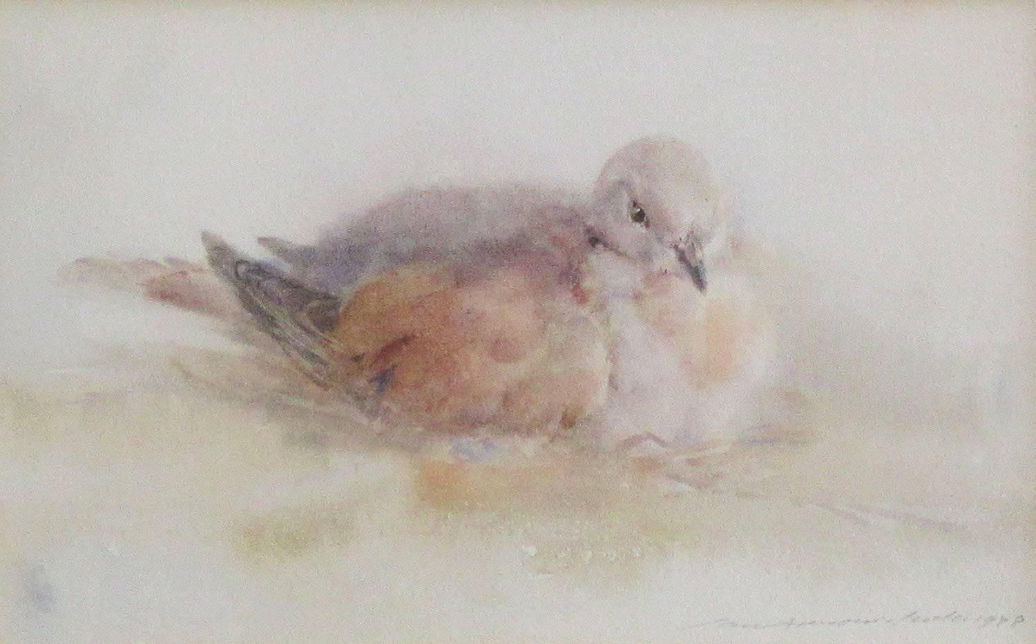 Ian Armour-Chelu, Dove Resting, 1989 | Thompson's Gallery