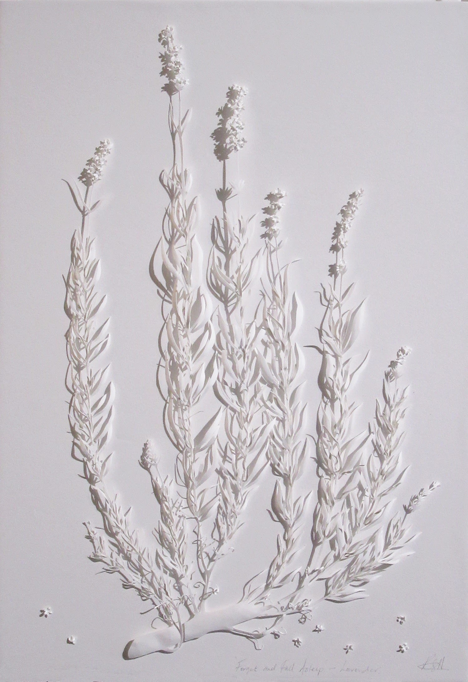 Rachel Shaw Ashton, Forget and Fall Asleep - Lavender | Thompson's Gallery