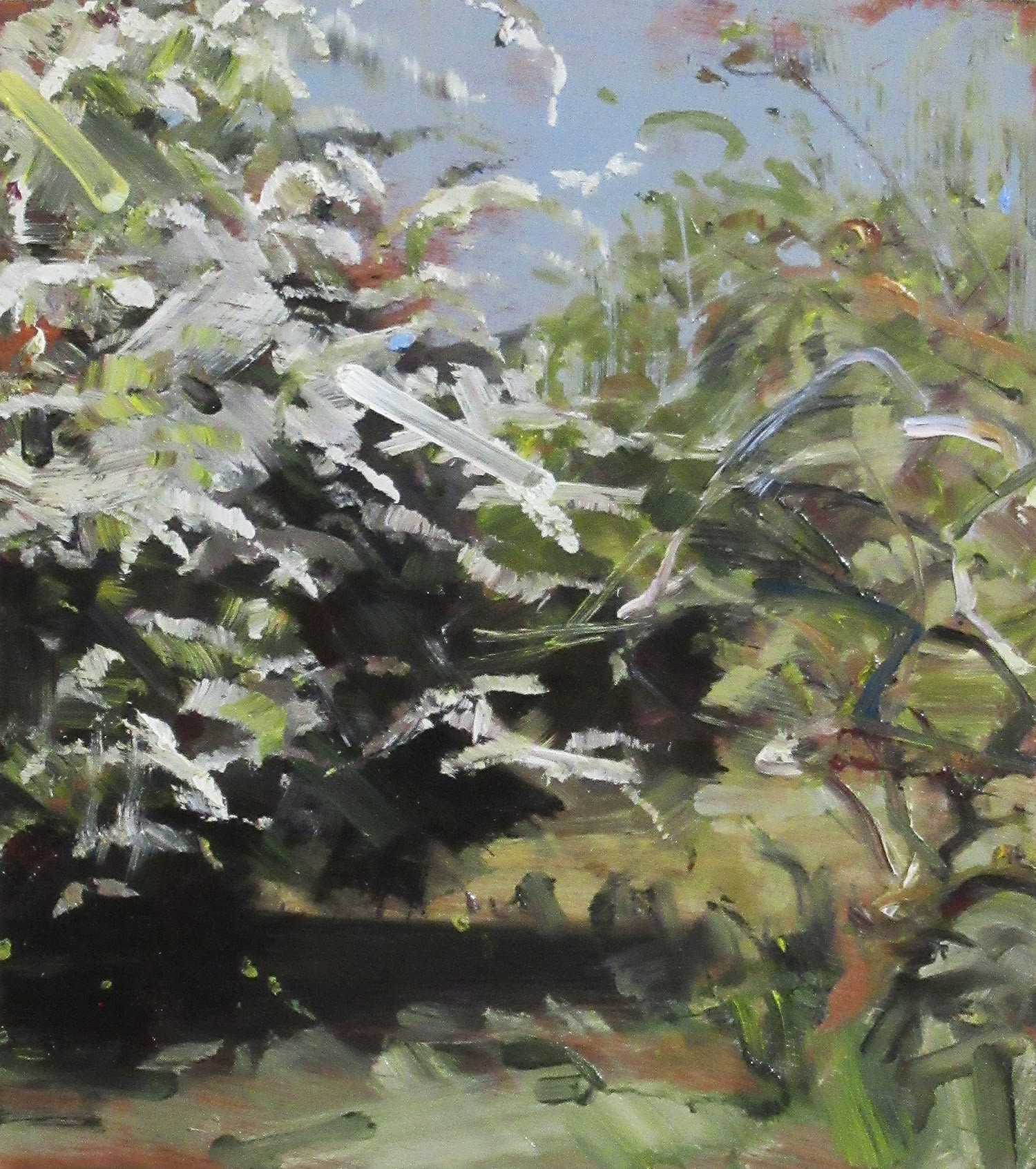 Kate Giles, Undercut, (Hawthorn and Apple, Edge of Orchard) | Thompson ...