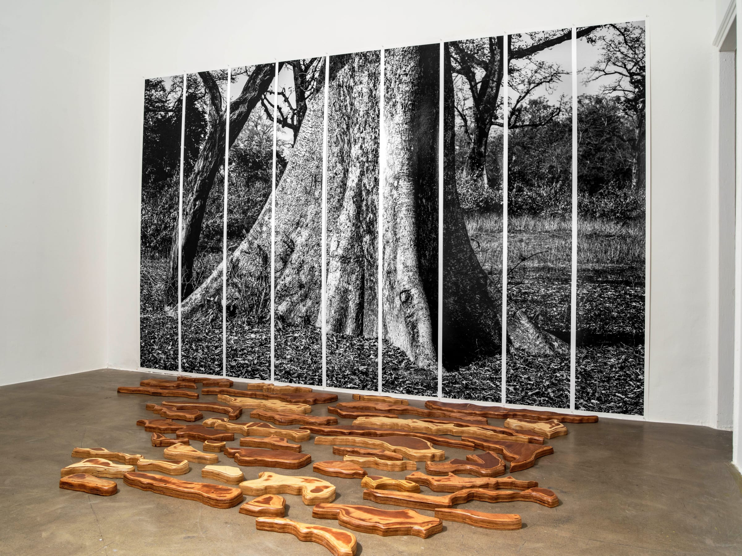 Atul Bhalla, The Last Tree on the Border , 2023 | Vadehra Art Gallery