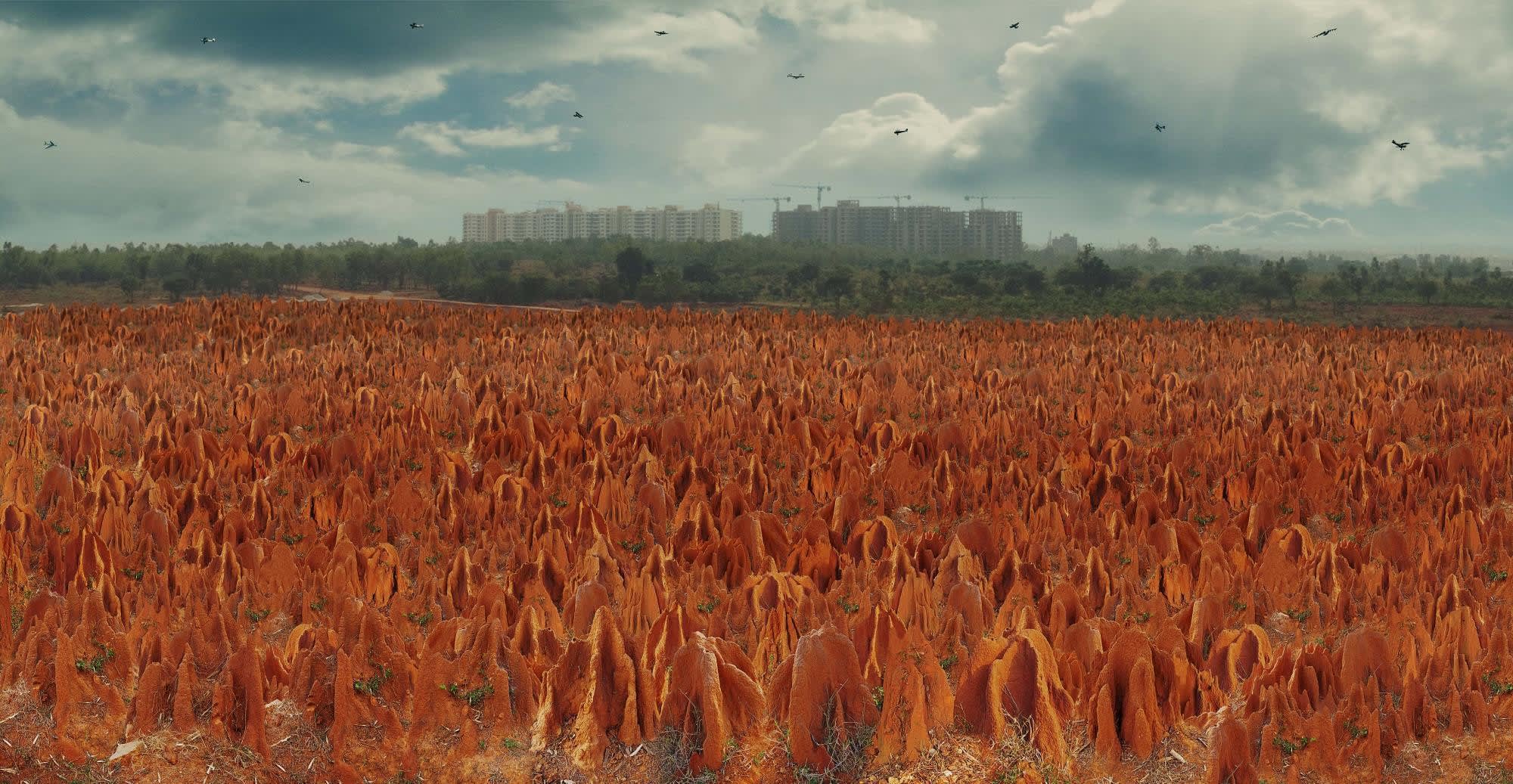 Babu Eshwar Prasad, Dwelling | Vadehra Art Gallery