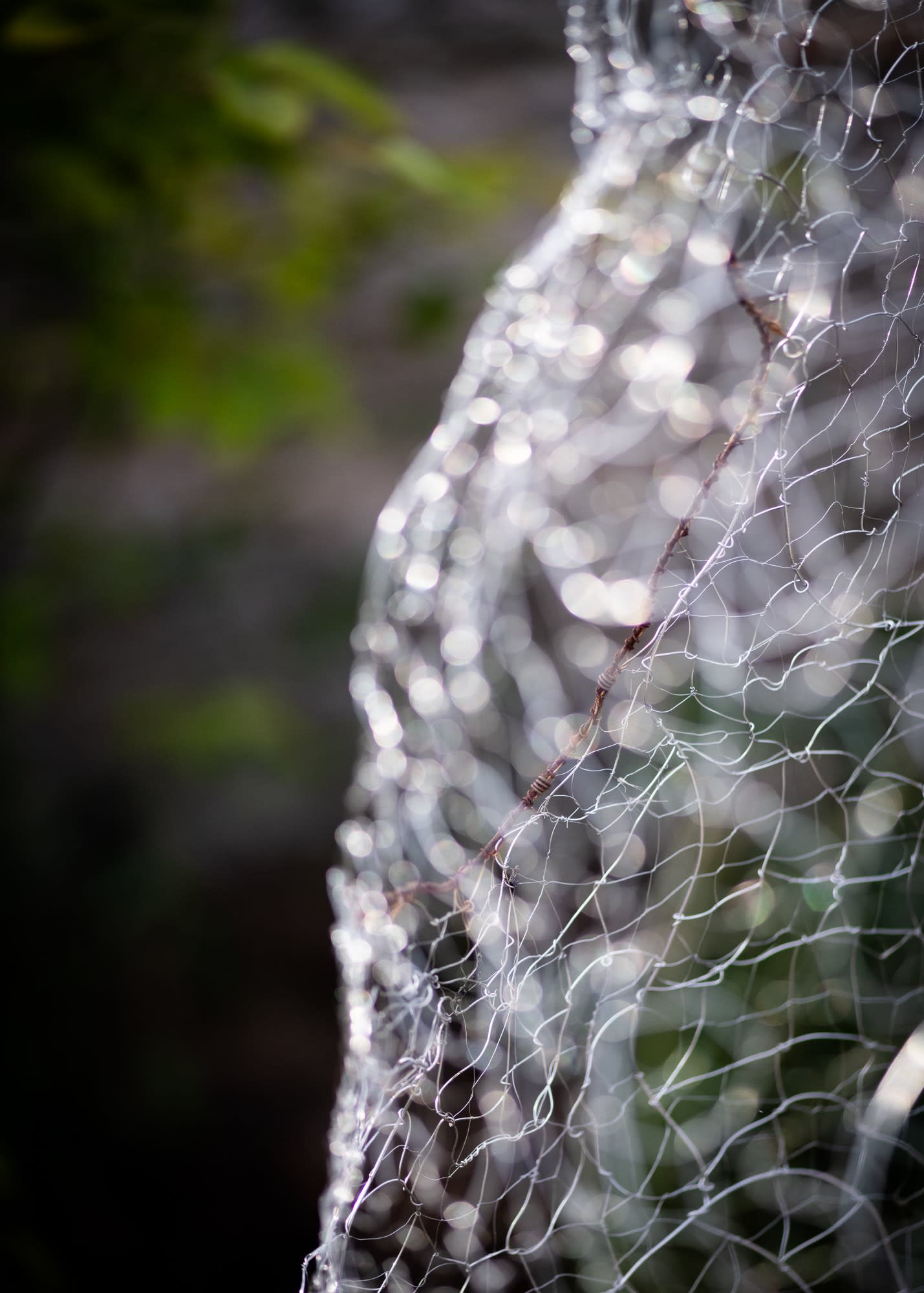 Clee Claire Lee, Motherland II, 2019 | Velarde | Contemporary Art ...