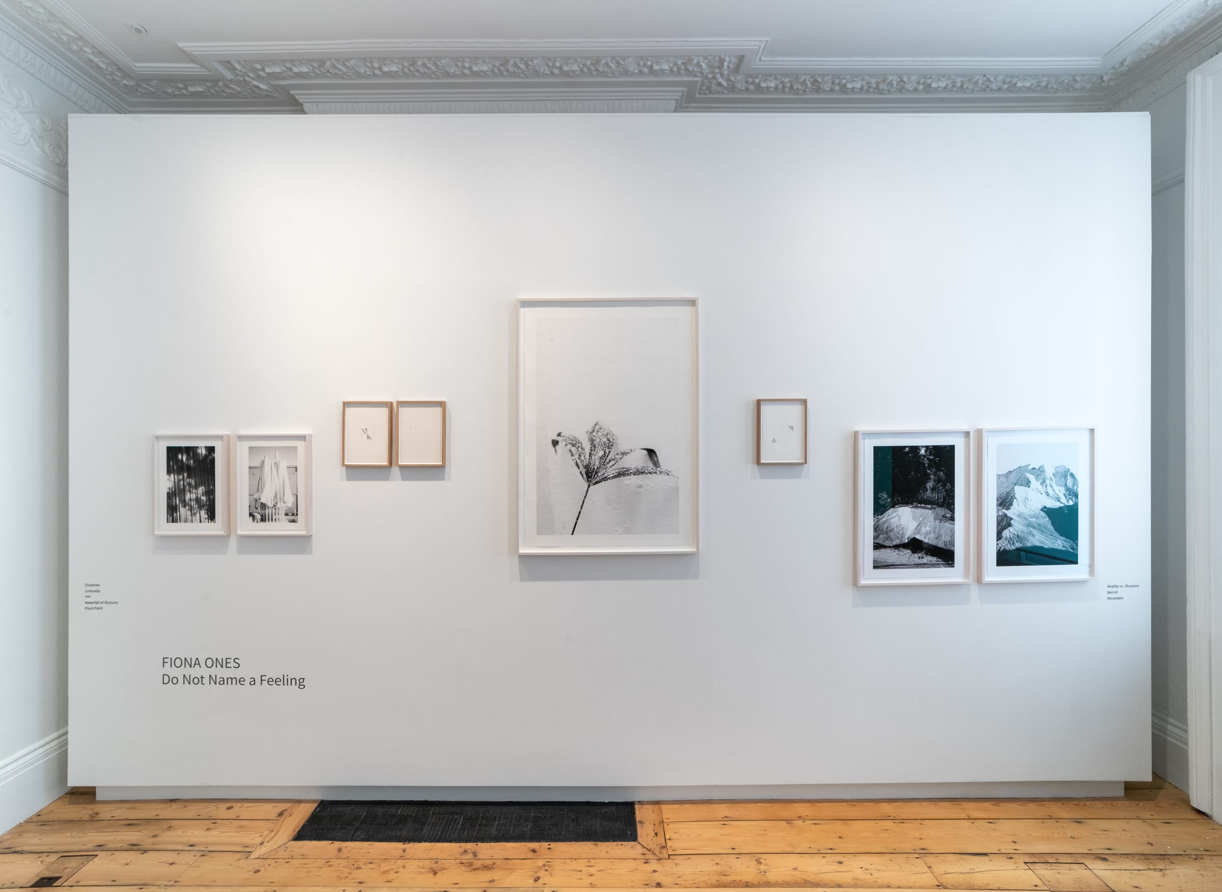Fiona Ones | Do Not Name a Feeling | 2 - 13 June 2021 | ai. Gallery, London