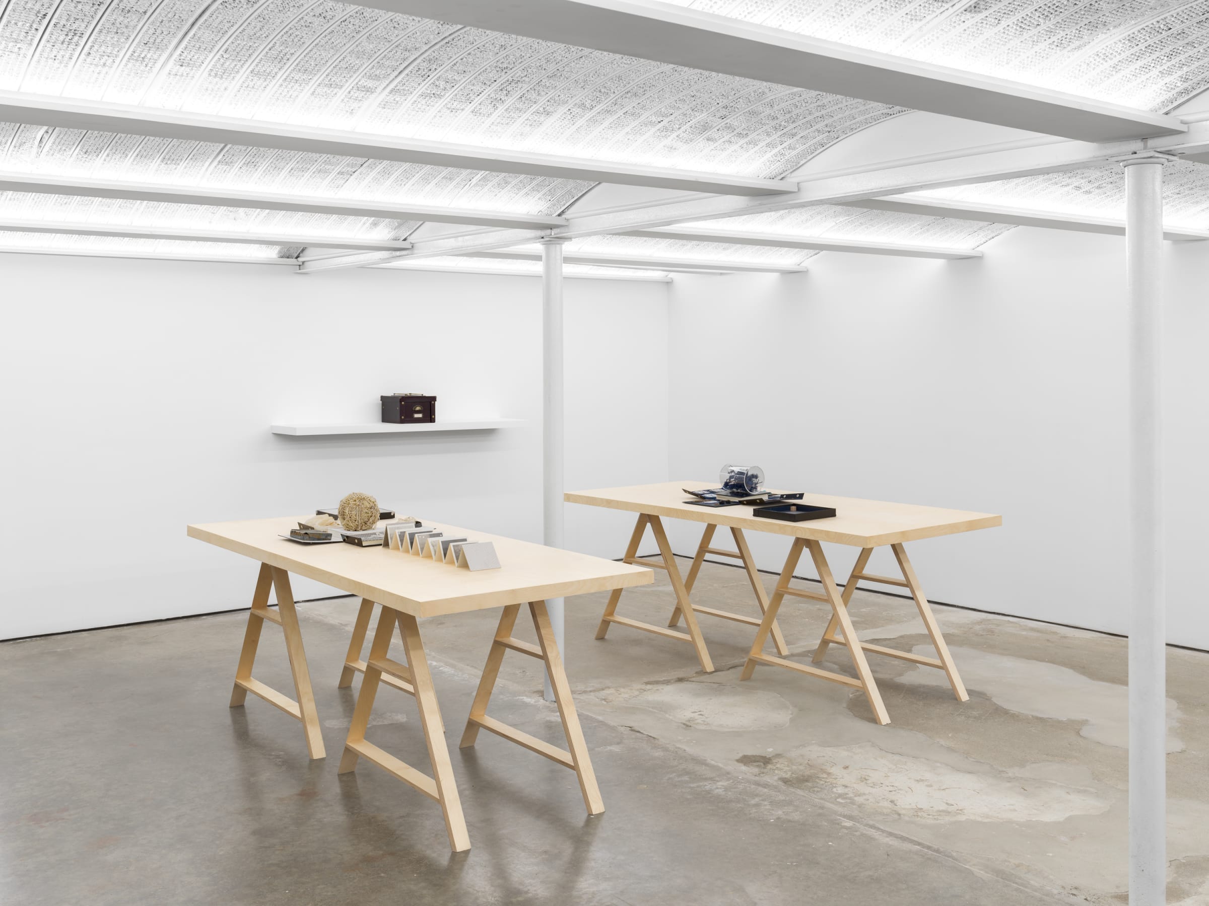 Ricardo Brey | November 4, 2022 - January 21, 2023 | Alexander Gray ...