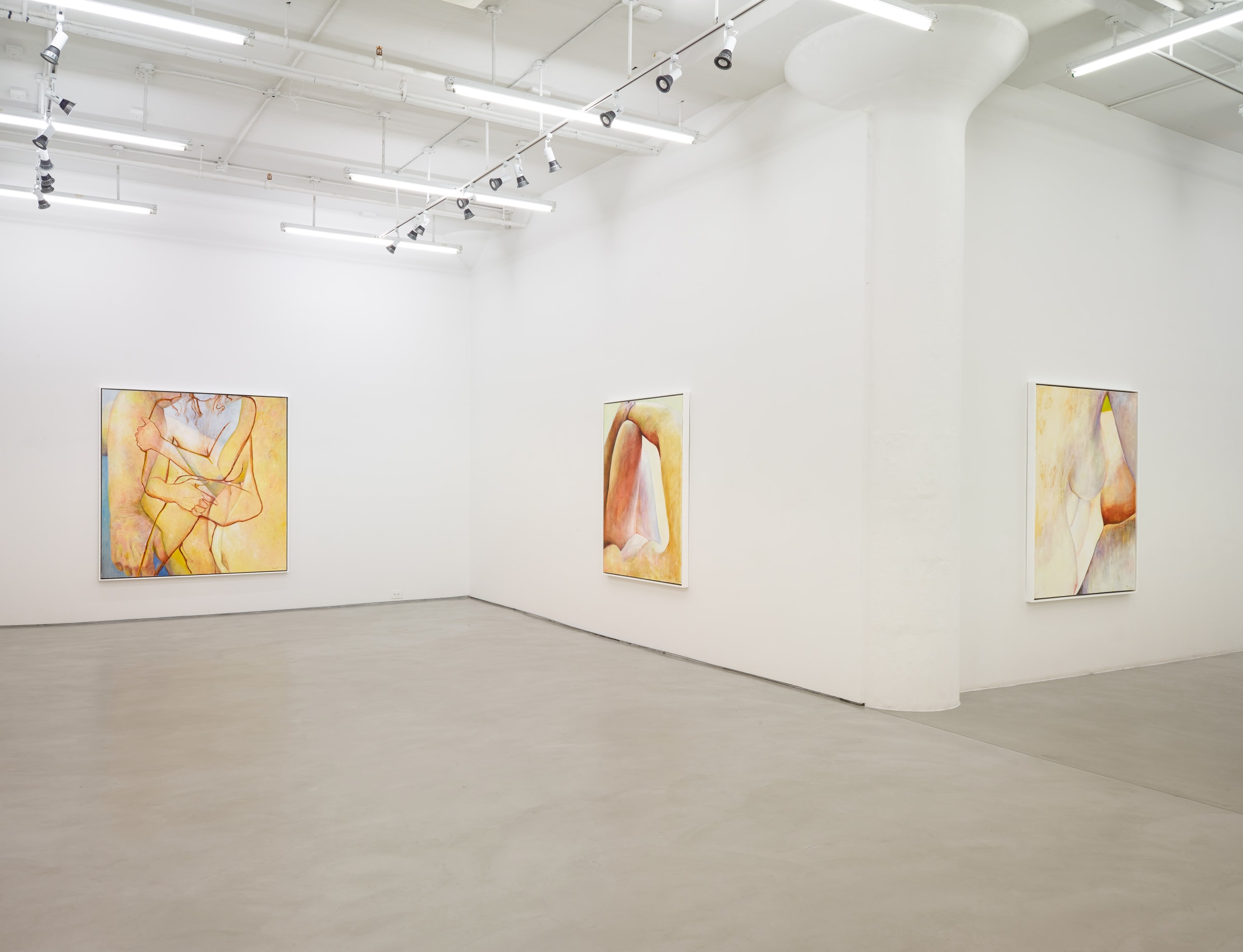 Joan Semmel | September 8 - October 15, 2016 | Alexander Gray Associates