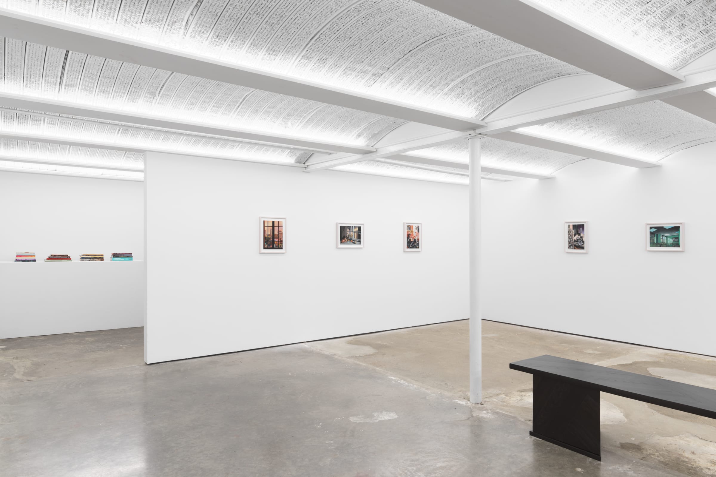 Alannah Farrell | September 21 - December 21, 2024 | Alexander Gray ...