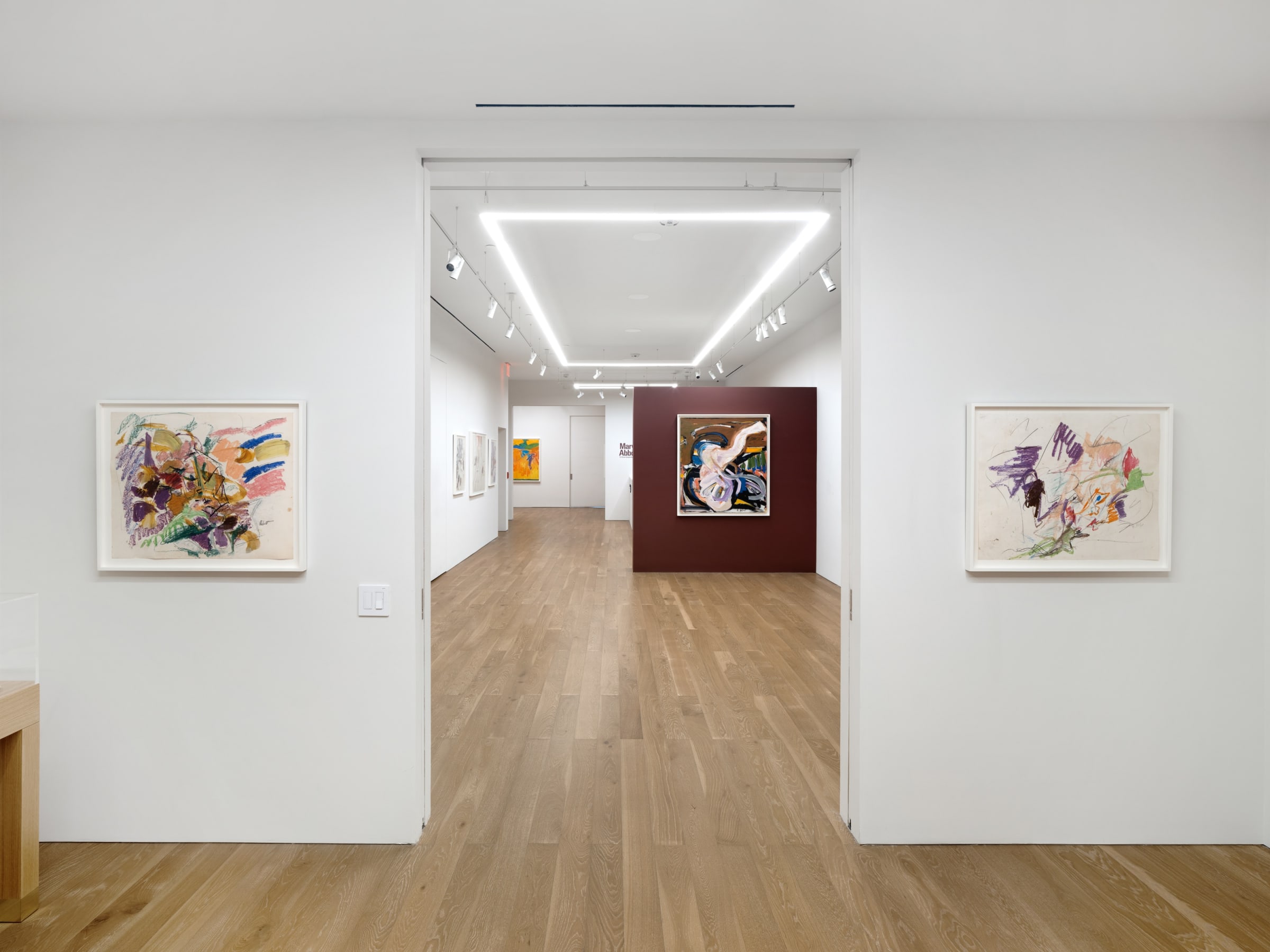 Mary Abbott: To Draw Imagination | Schoelkopf Gallery