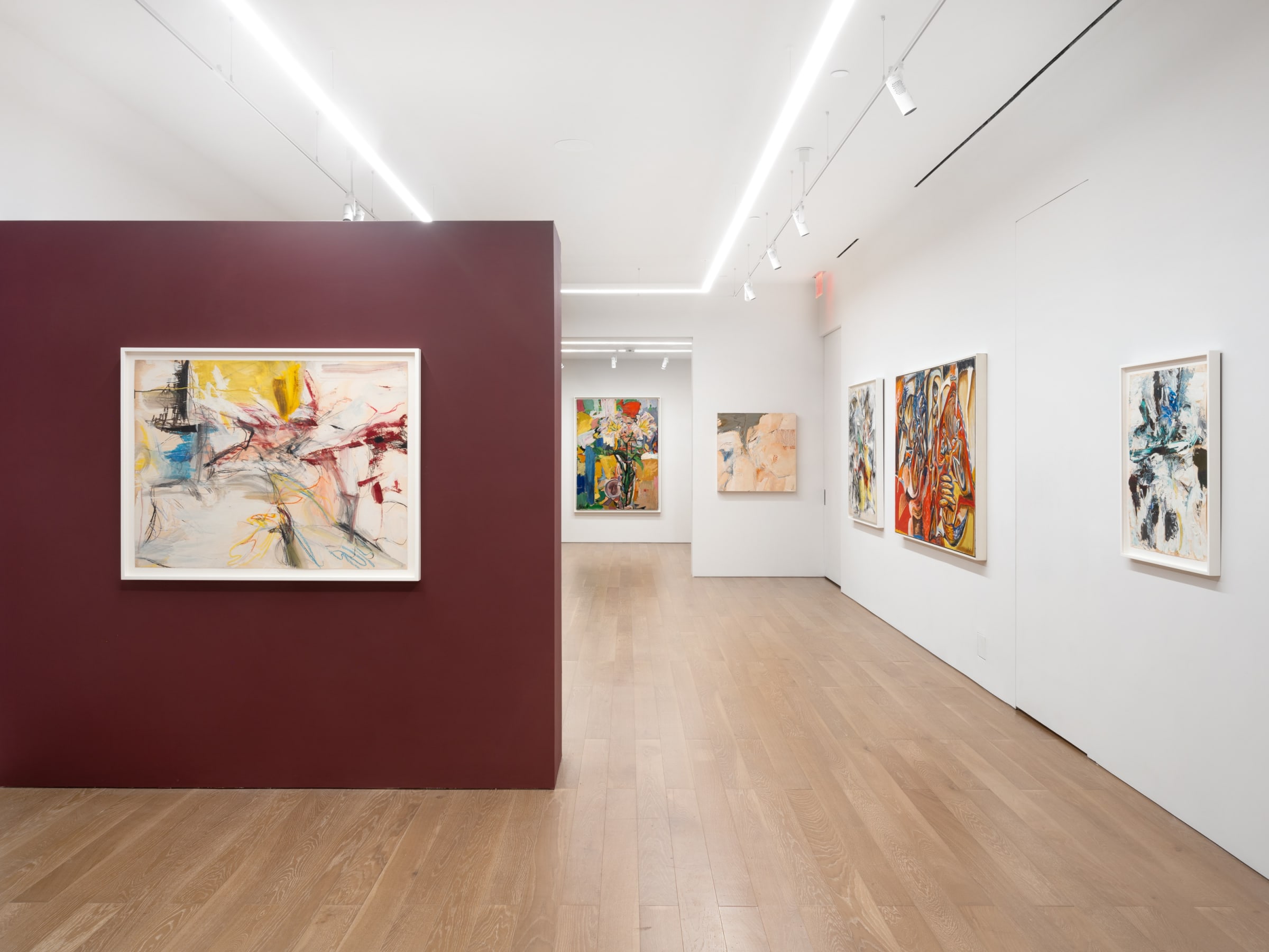 Mary Abbott: To Draw Imagination | Schoelkopf Gallery