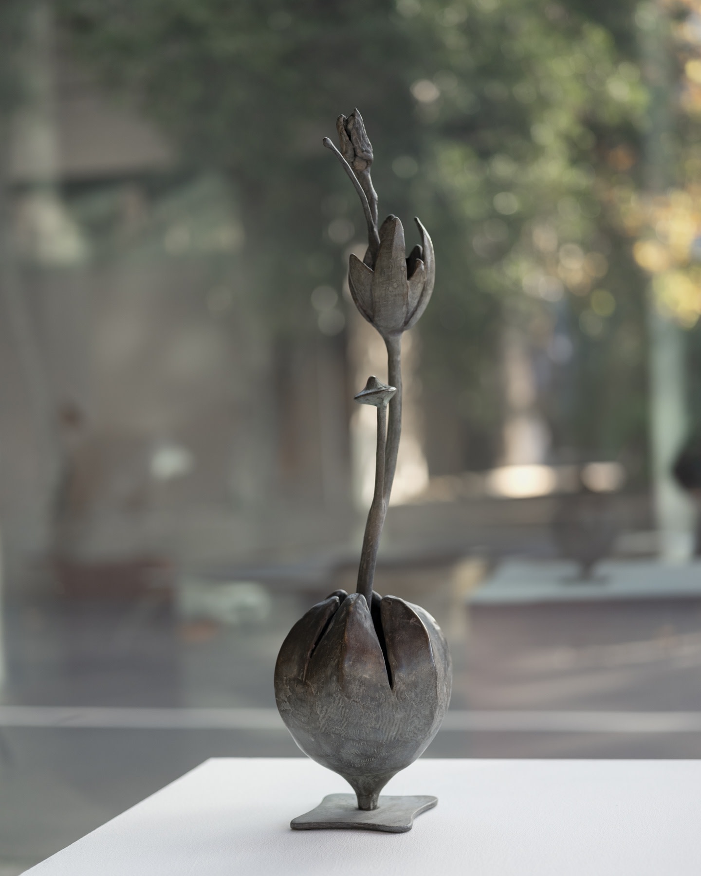 Transformation | 12 - 27 June 2025