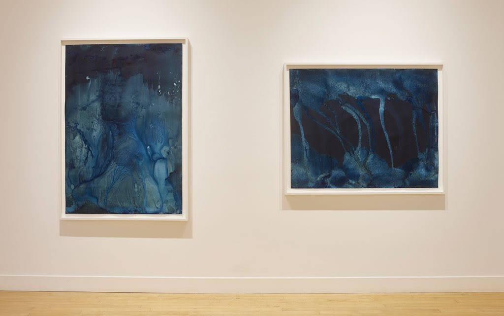 Meghann Riepenhoff: Ice | Haines Gallery