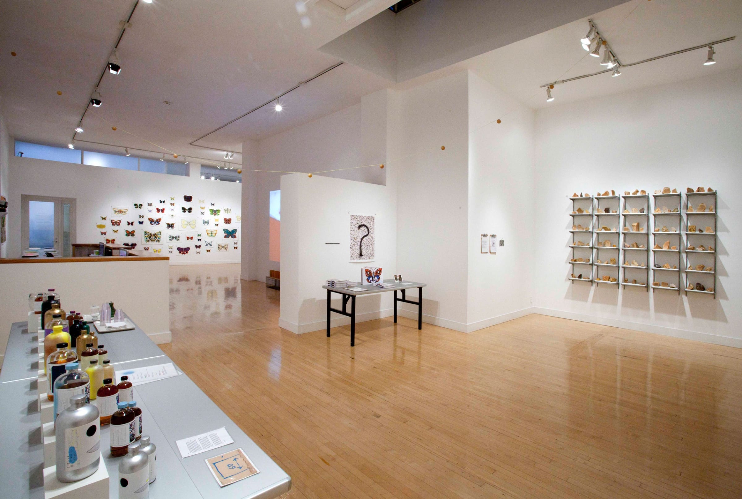 Rob Craigie:The Expanding Color System | Haines Gallery