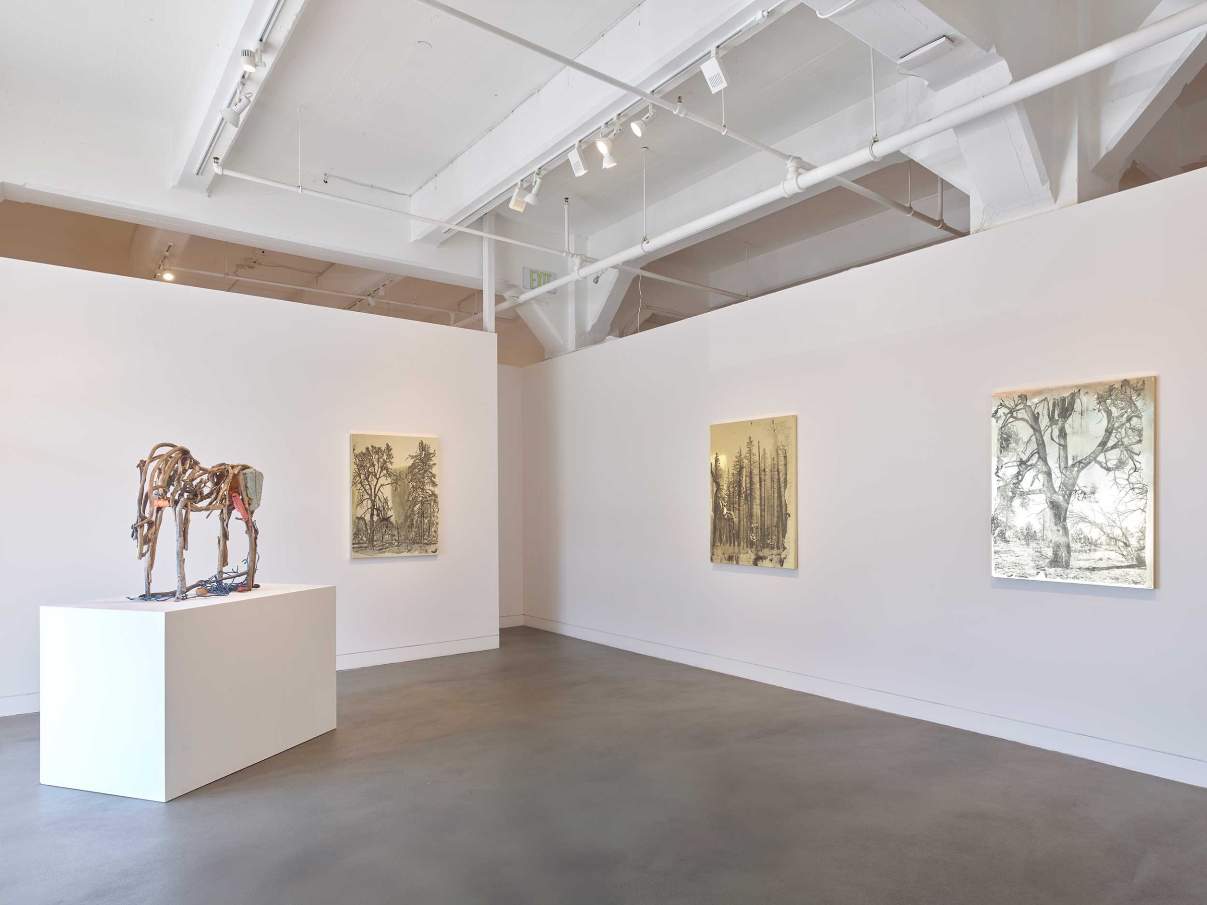 Material Matters | Haines Gallery