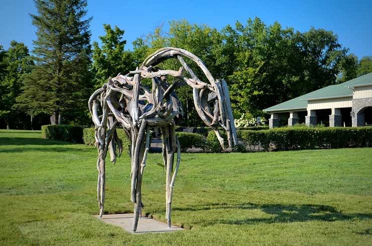 Deborah Butterfield Museum Acqusition | Haines Gallery