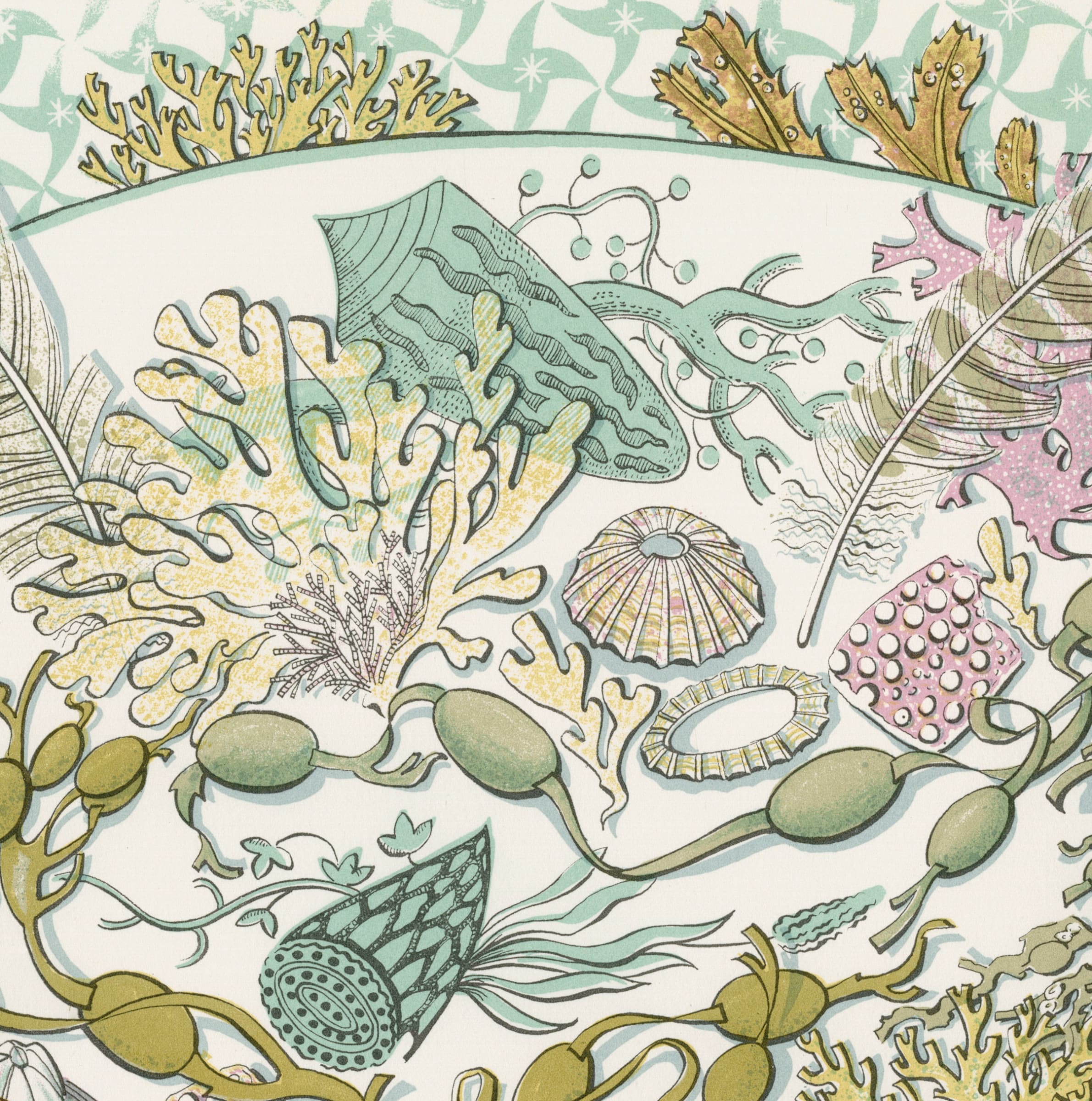Angie Lewin, Shell, Seaweed & Feather, 2019 | Edinburgh Printmakers