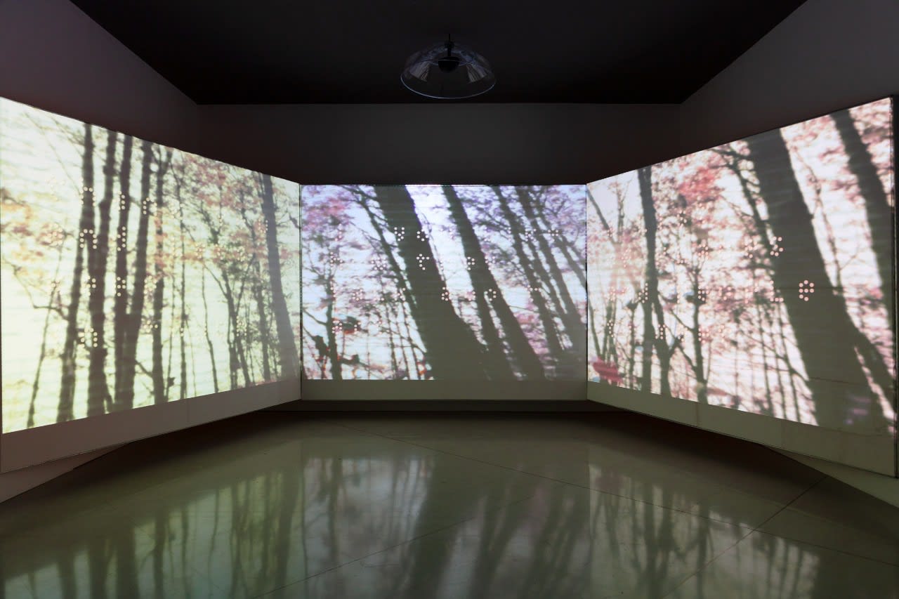 Raul Cordero | WIZARD GALLERY