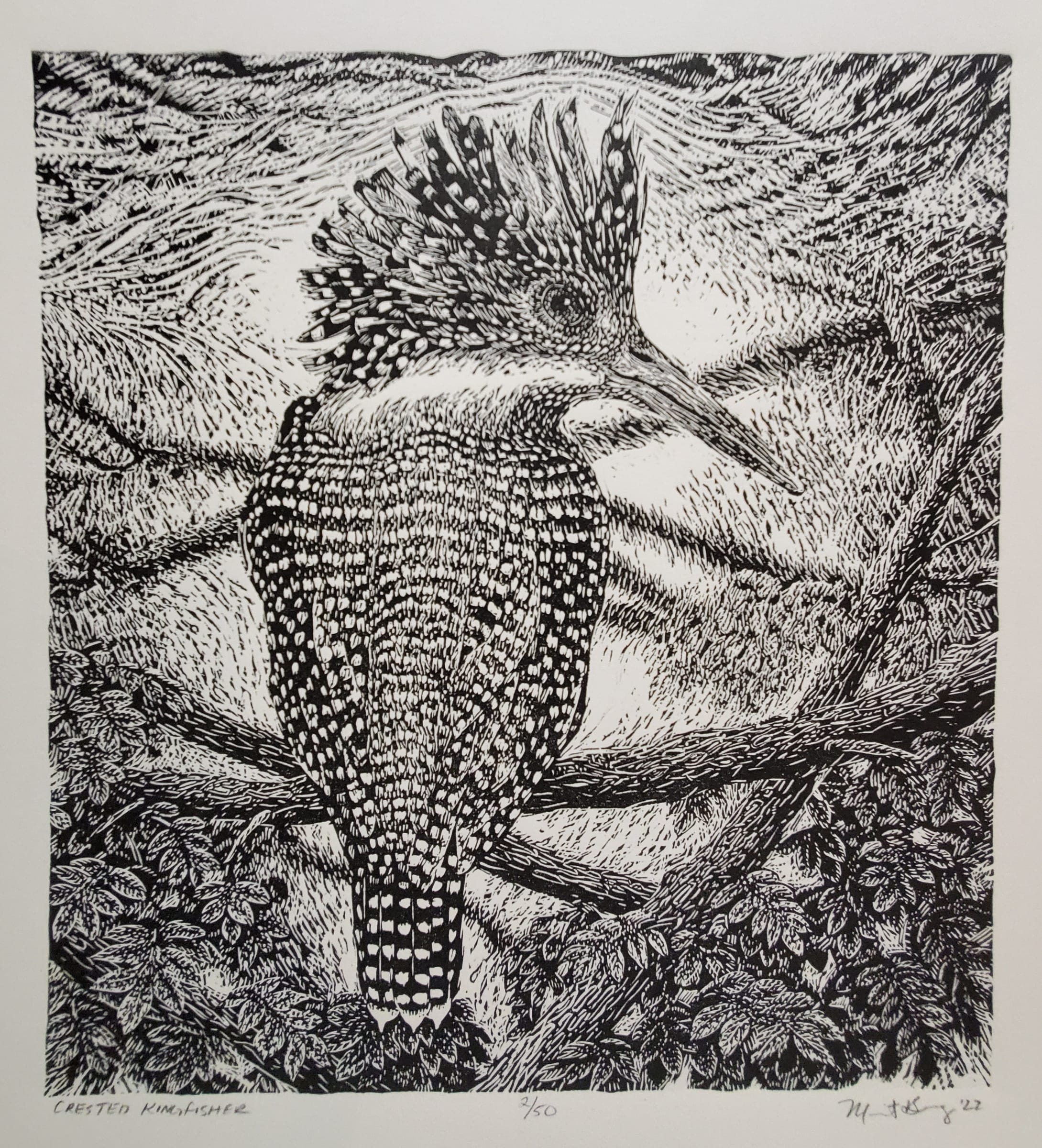 Marit Berg, Crested Kingfisher (Unframed), 2022 | Karin Clarke Gallery