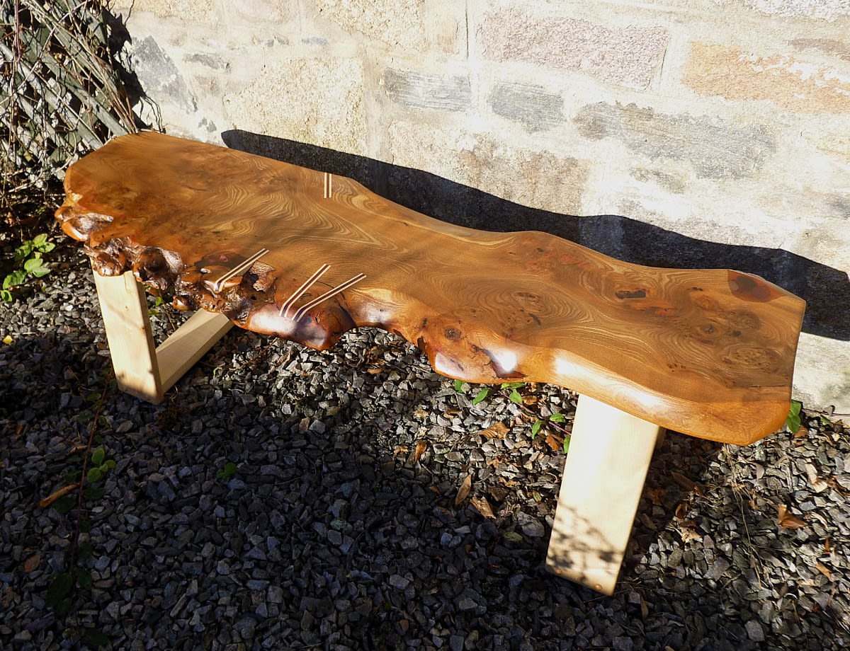 Will Hall, Elm Bench, 2024 | Alchemist Gallery
