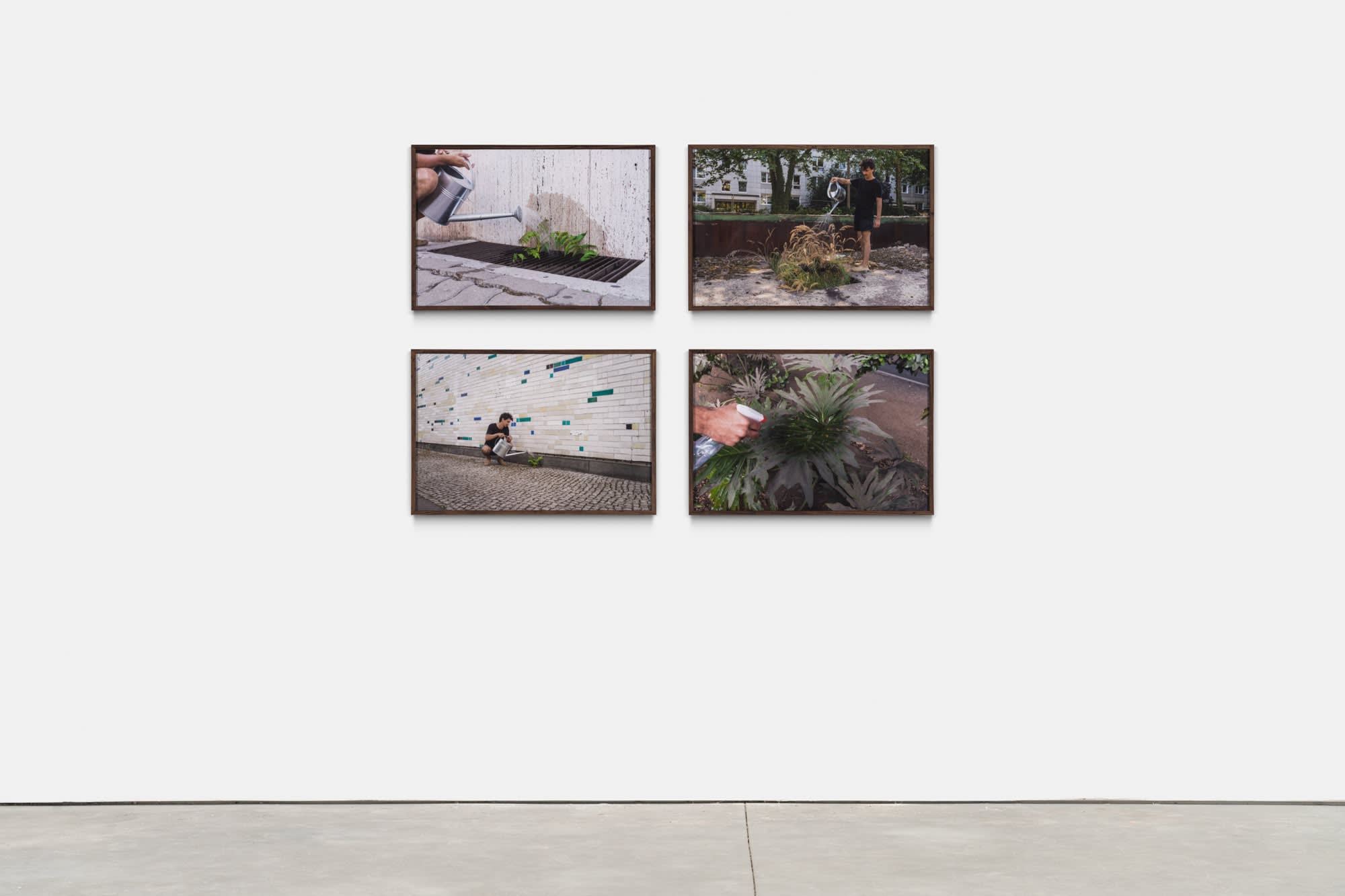 La Pensée Sauvage | 2 May - 15 Jun 2024 | Galeria Francisco Fino