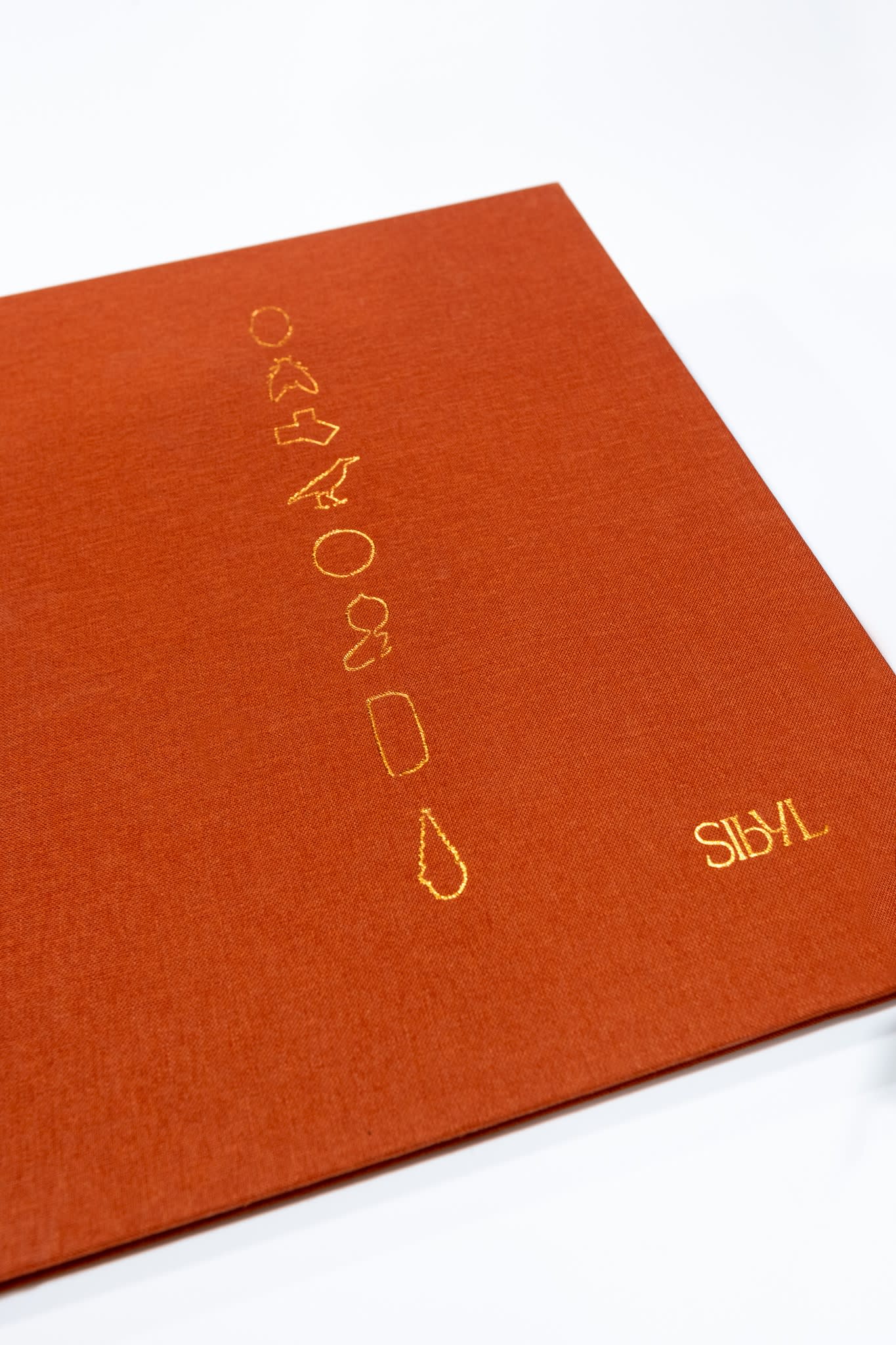 Publication: sadie sheldon: meridians | Sibyl Gallery