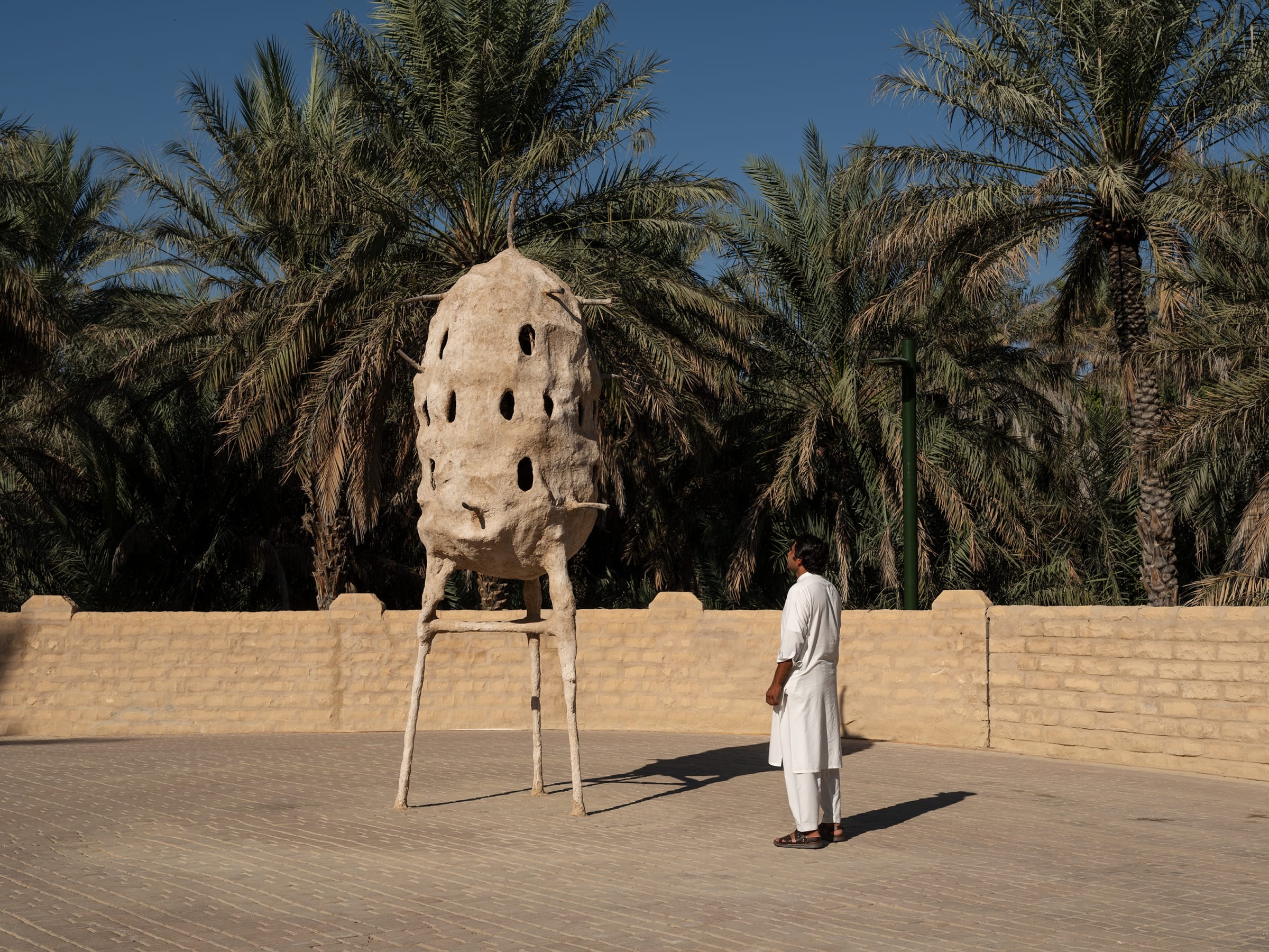 Alex Ayed | Galerie Balice Hertling