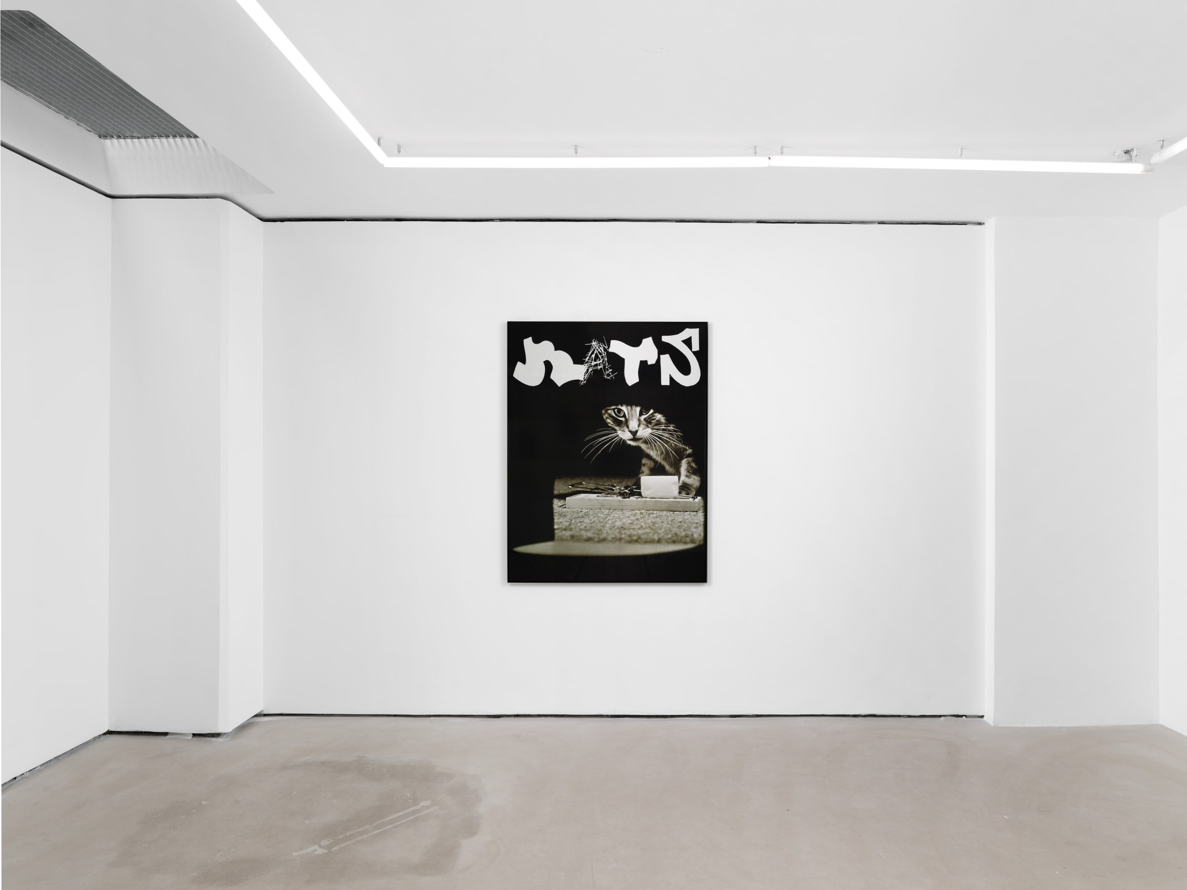 Will Benedict | May 6 - Jun 7, 2025 | Galerie Balice Hertling