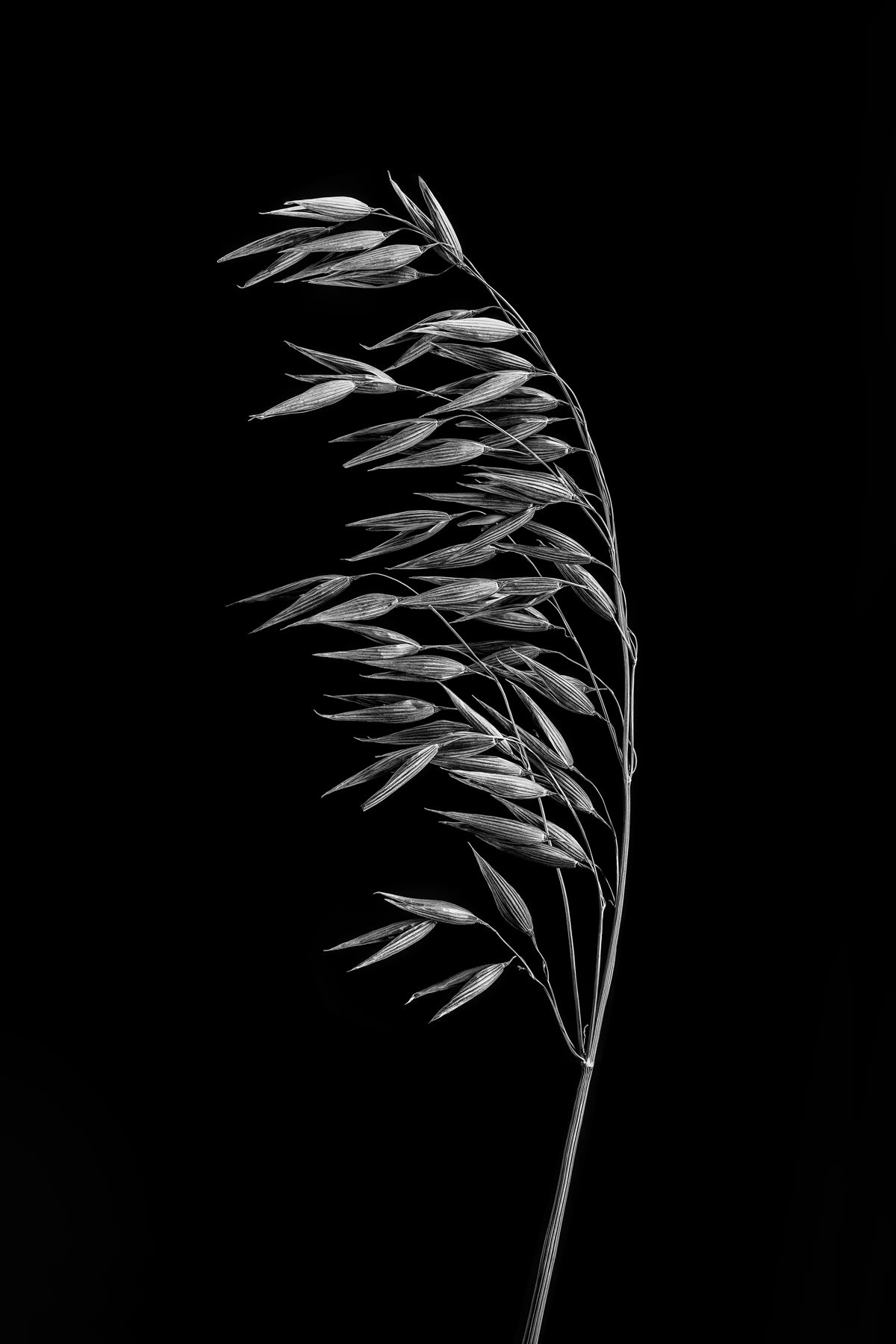 Steve Gallagher, Flow No. 1, 2022 | Steve Gallagher Photography