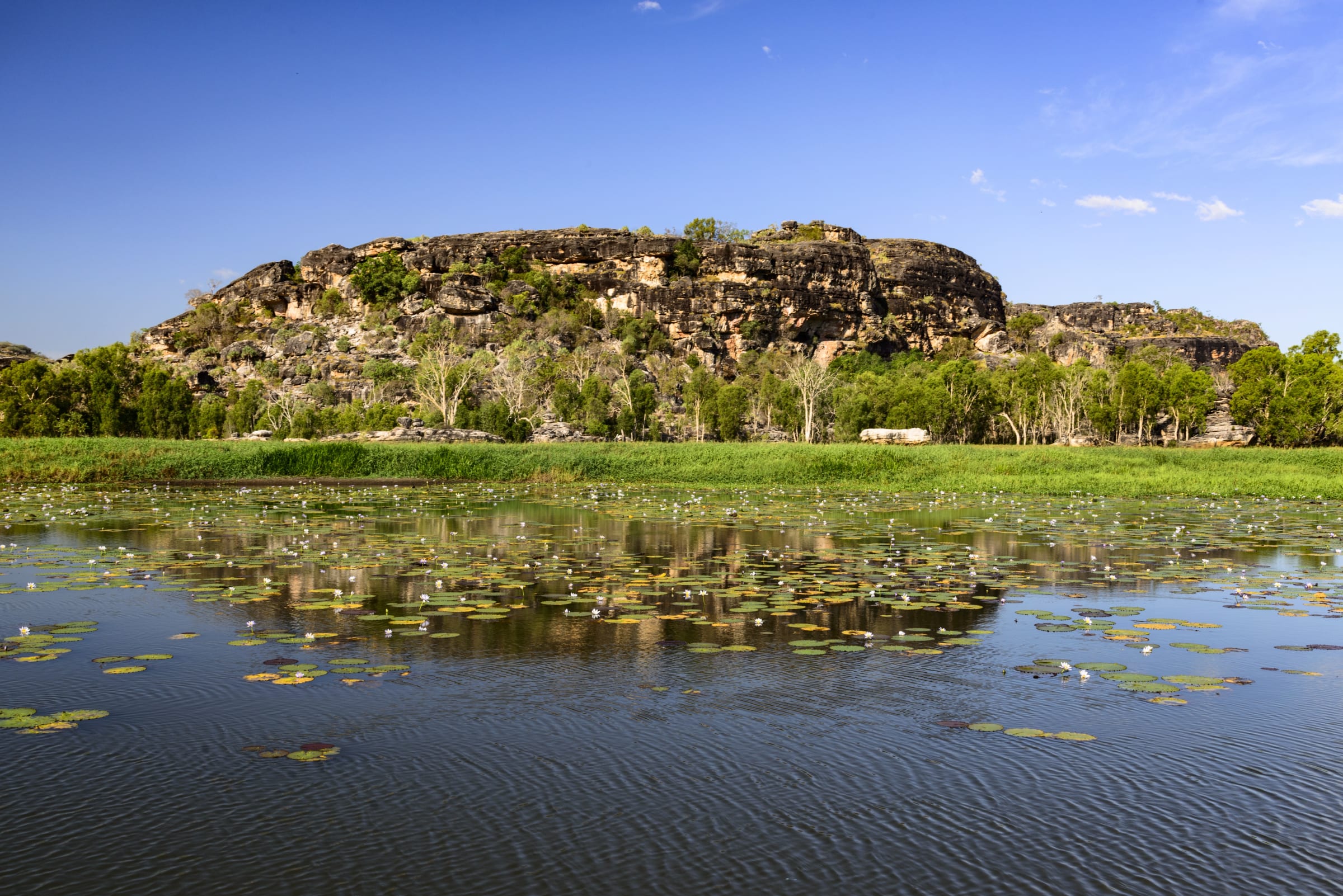 Mount Borradaile Rock Paintings Launch | Hat Rock Contemporary