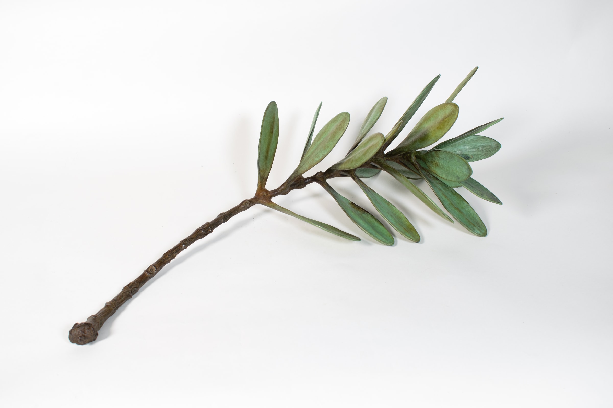 Jim Wheeler, Windfall Kauri, 2025 | ARTIS Gallery