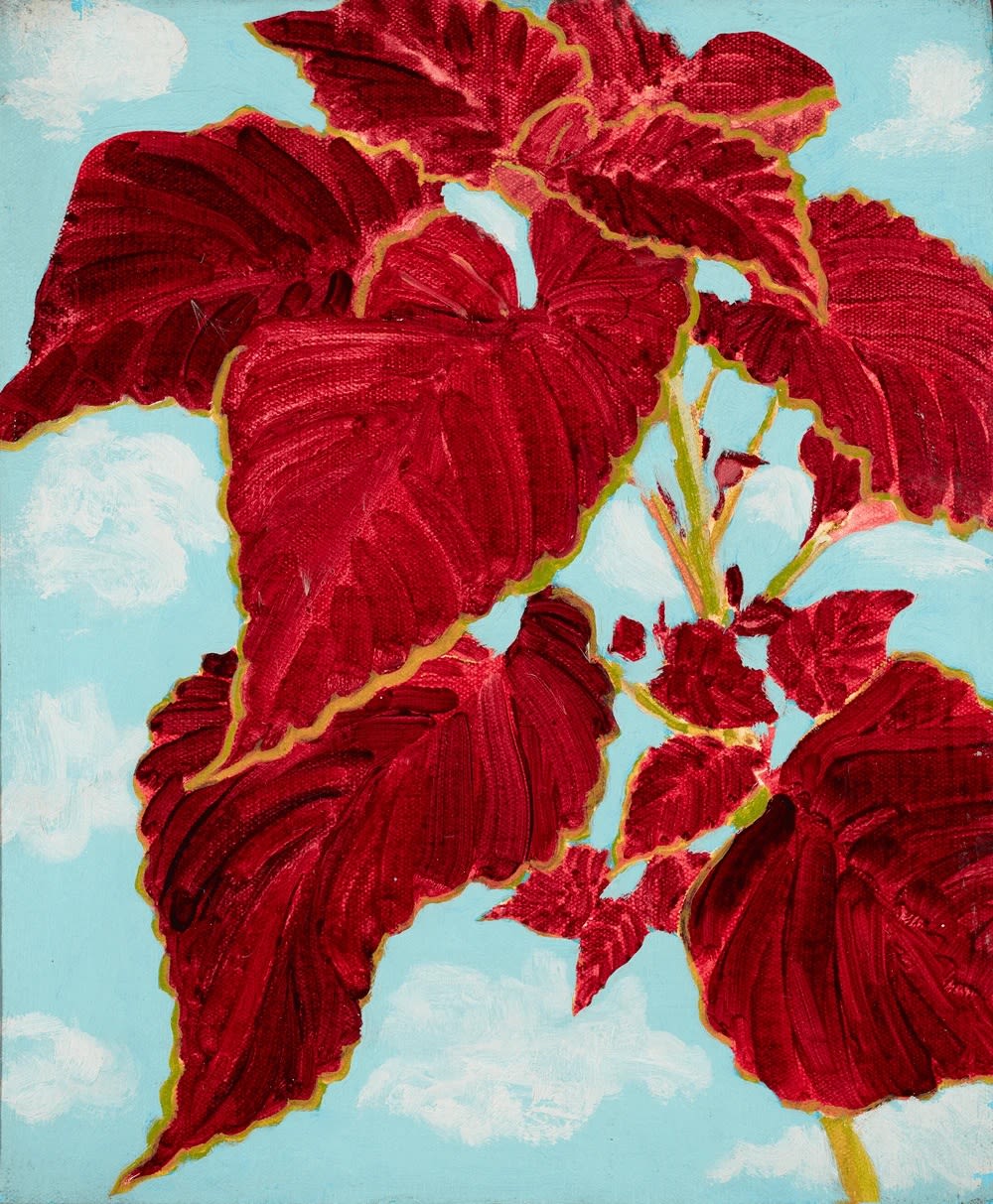 Janet Alling | Seven Sisters