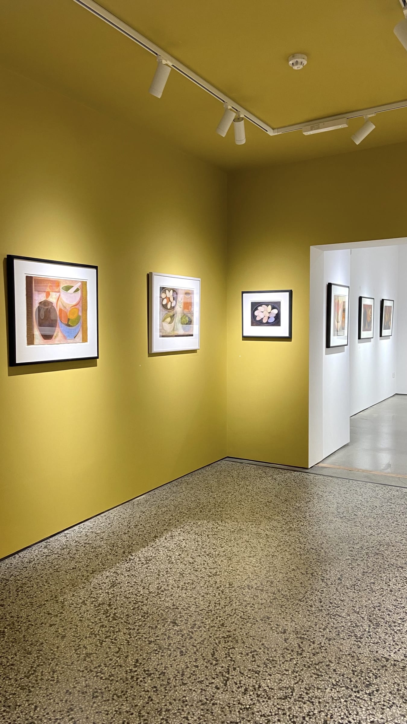 Vivienne Williams | Celf Gallery