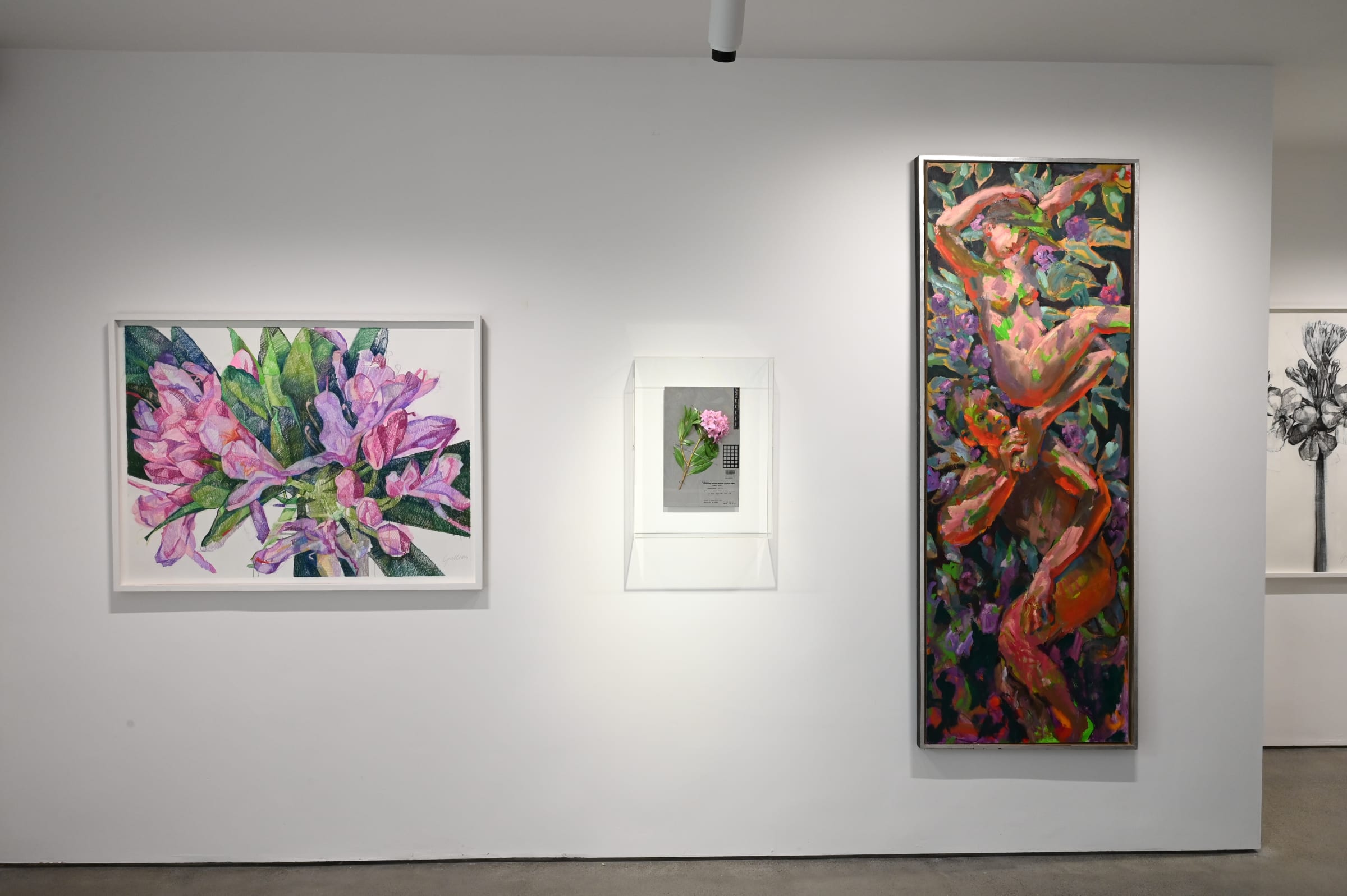 FLORA | Celf Gallery