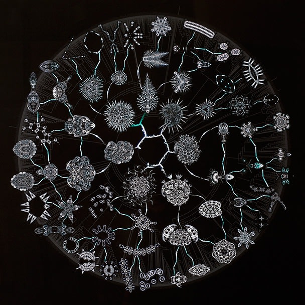 Rohini Devasher At Spencer Museum Of Art, Kansas | Project 88