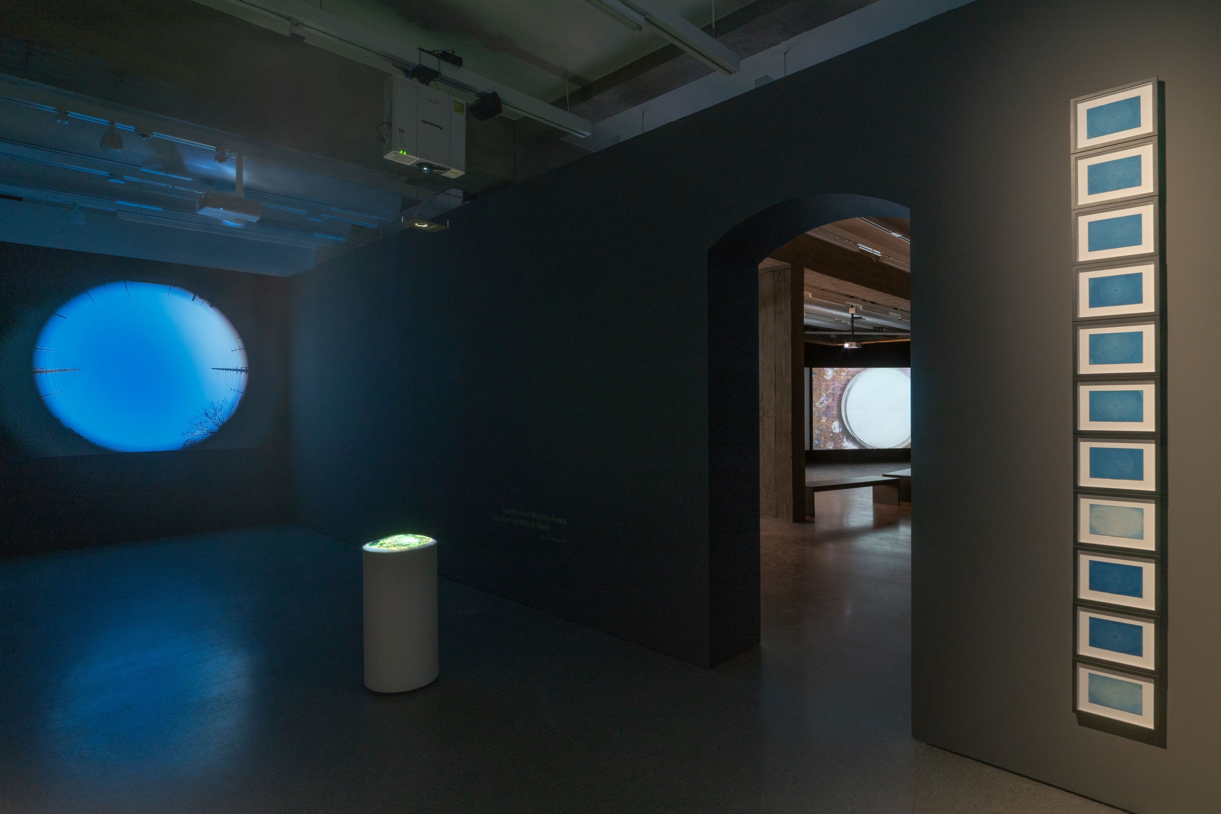 Rohini Devasher: Solo Exhibition at The PalaisPopulaire | Project 88