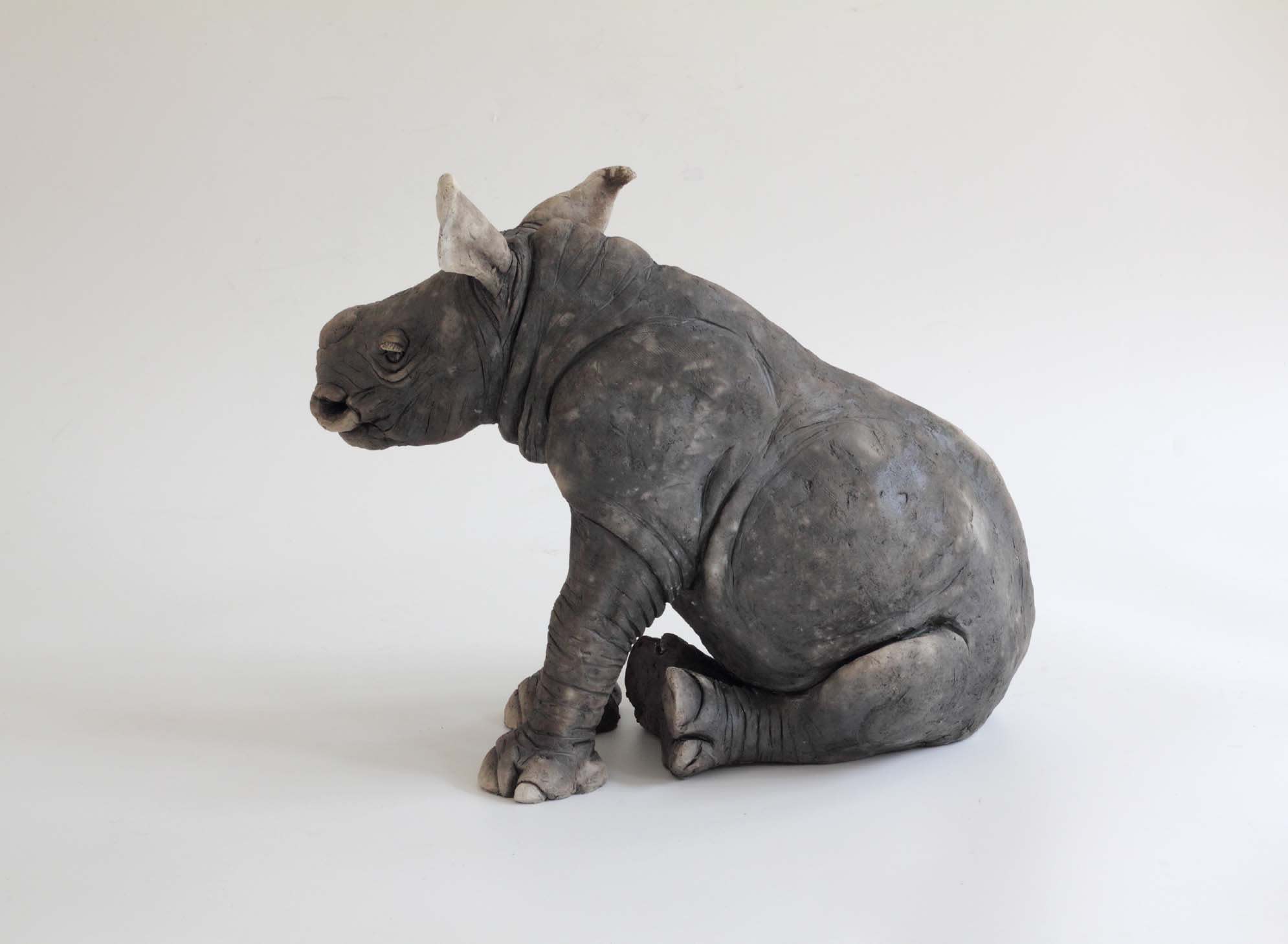 Nick Mackman, Rhino Baby | Beaux Arts Bath