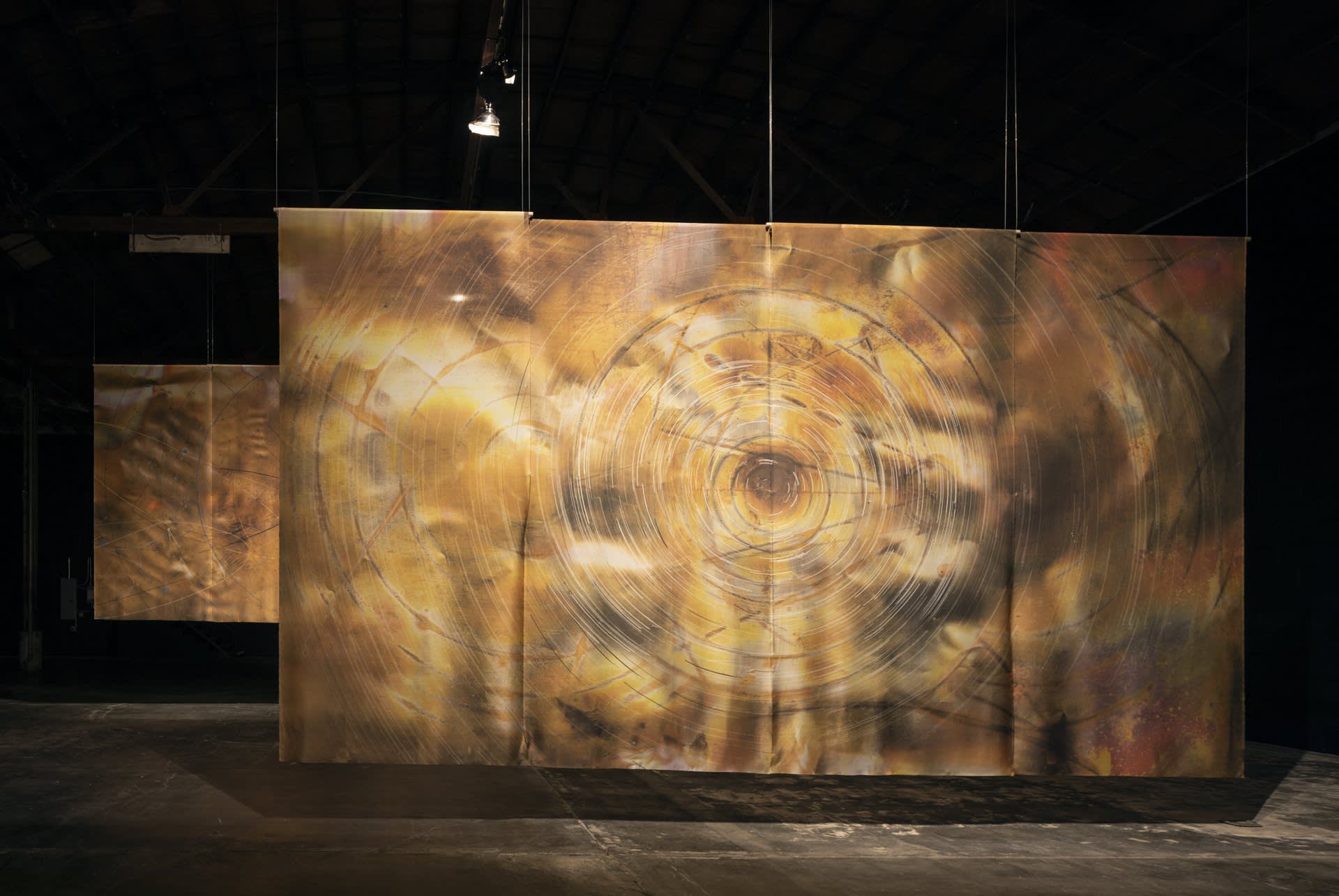 Rohini Devasher | One Hundred Thousand Suns | Gallery Wendi Norris