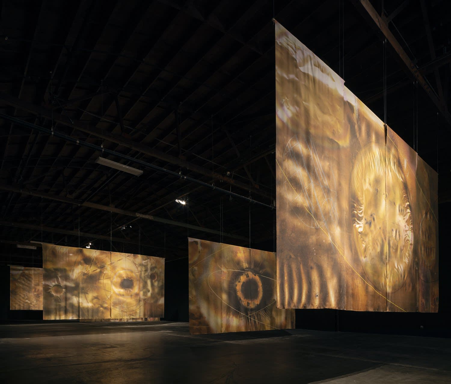 Rohini Devasher | One Hundred Thousand Suns | Gallery Wendi Norris