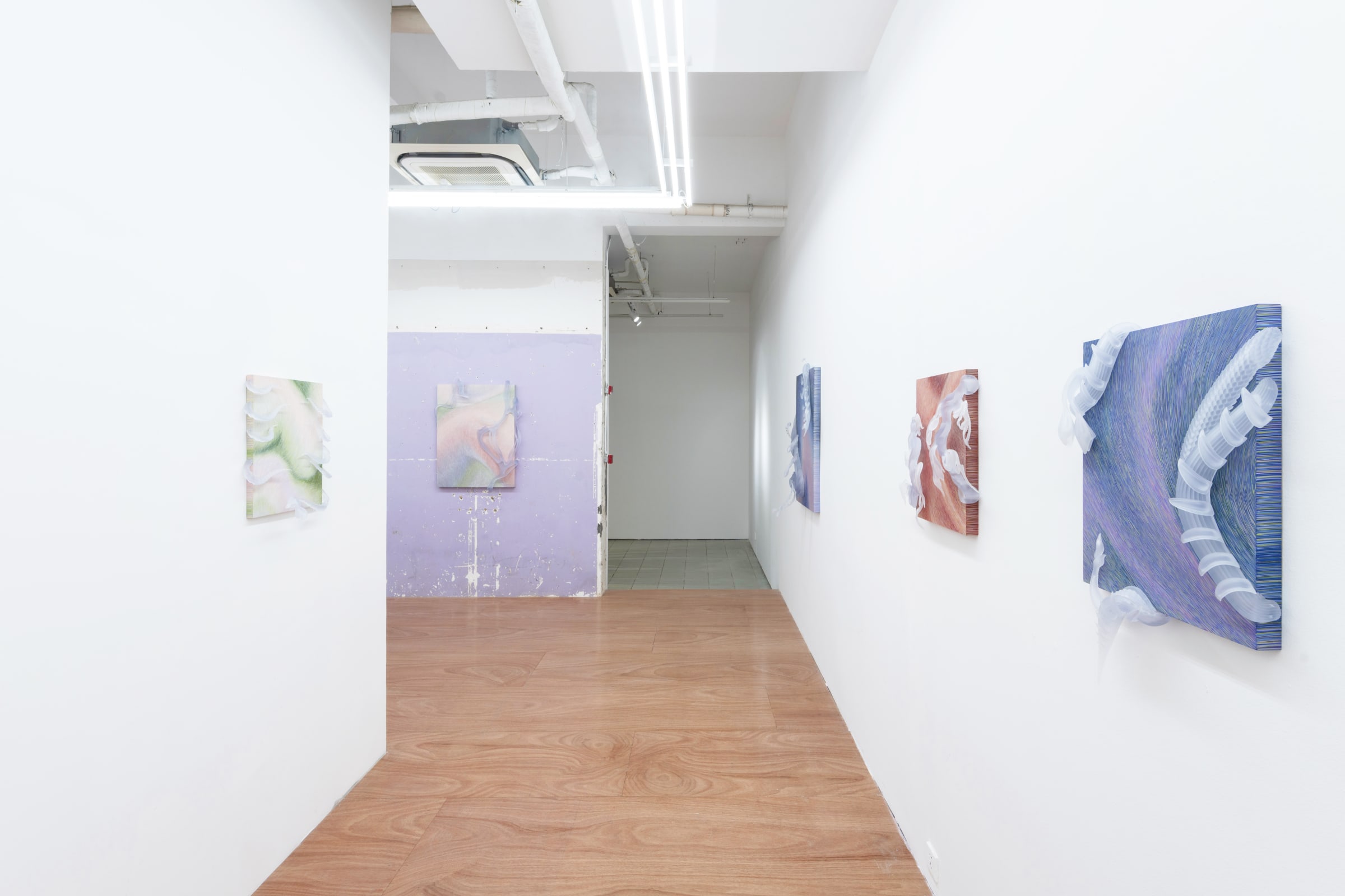 Anastasia Komar: ex-vivo | 10 June - 22 July 2023 | BANK