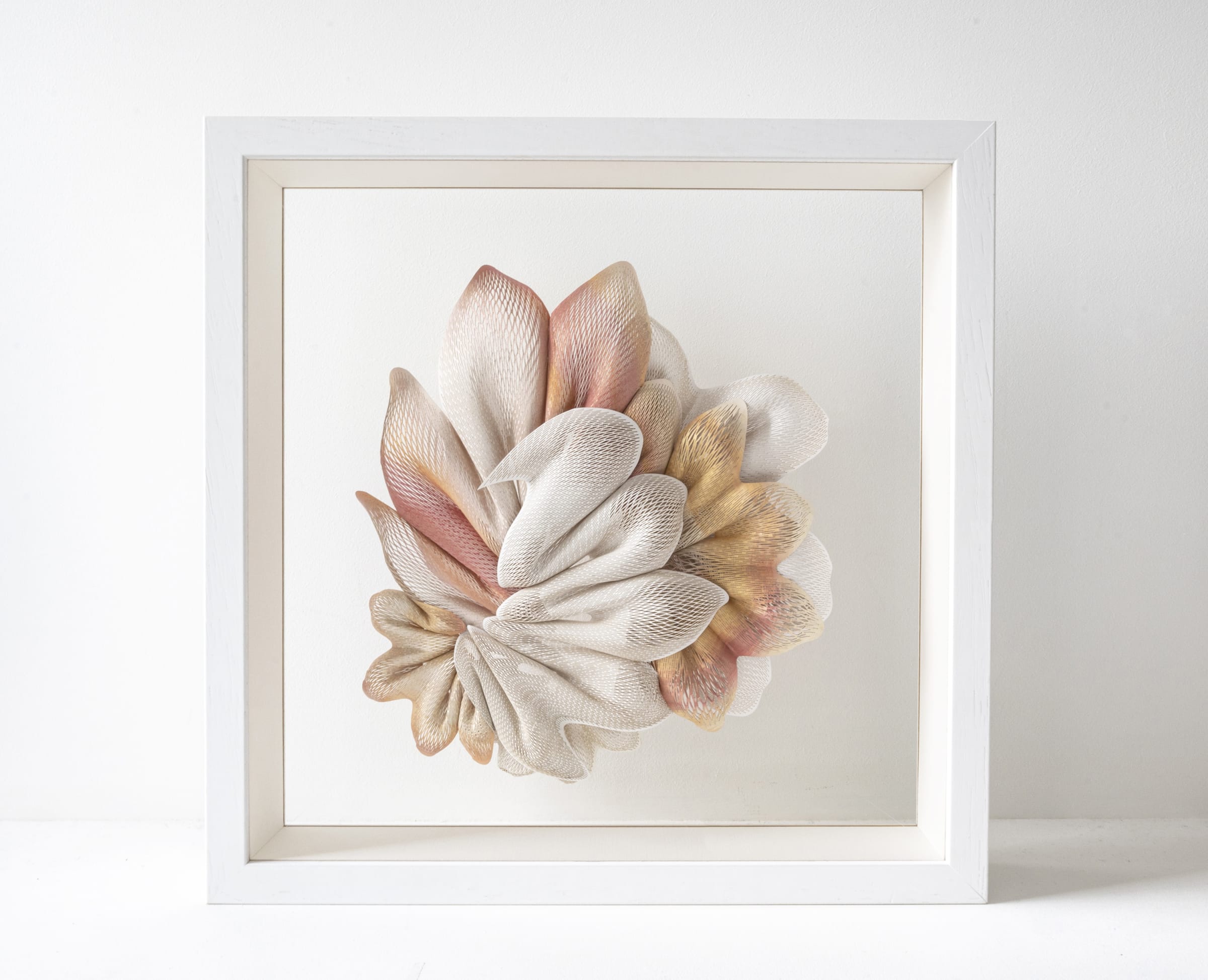 Kuniko Maeda, Sugar Maple | Cube Gallery