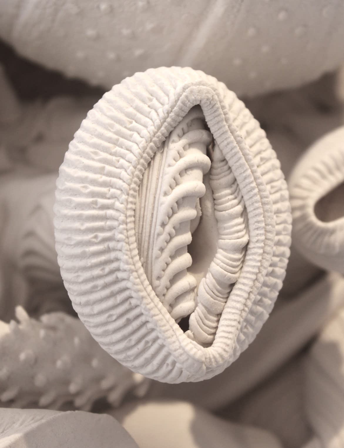 Charles Birnbaum | BLANK SPACE