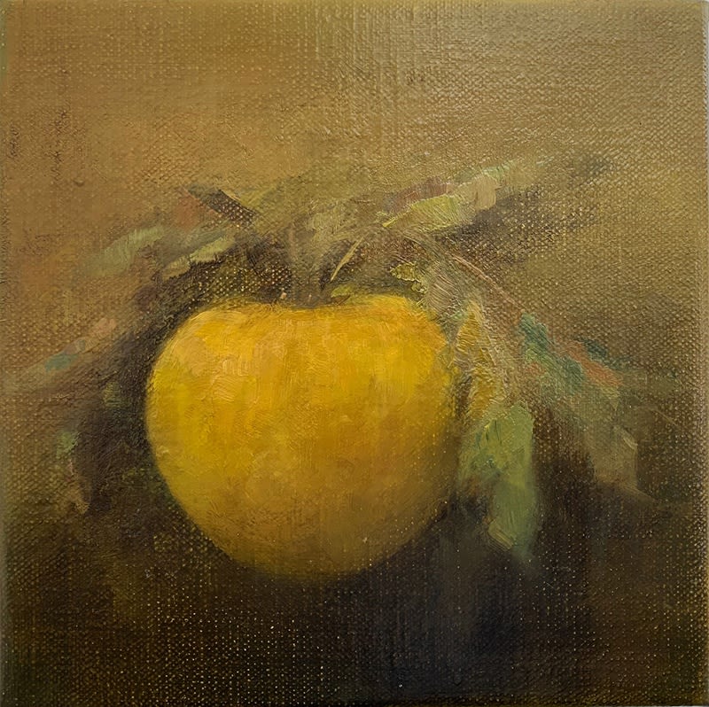 Bridget Macdonald, Golden Apple | Campden Gallery