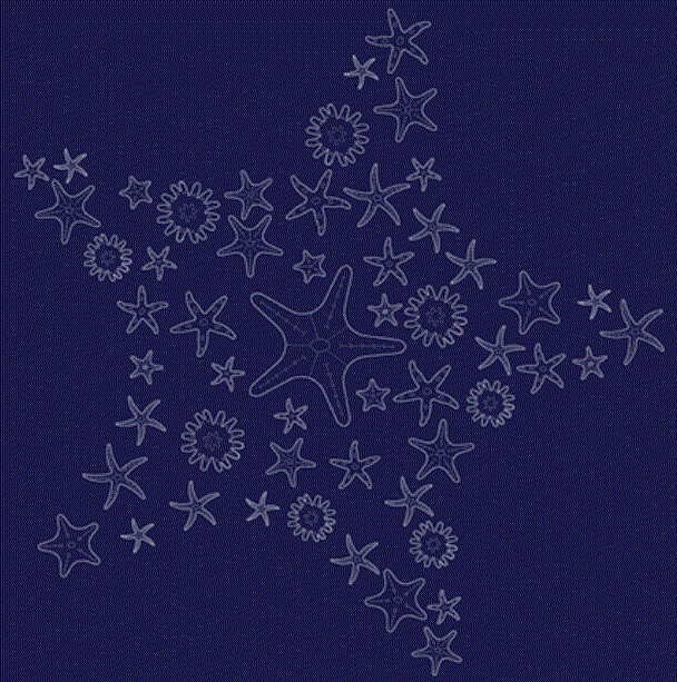 THE MIAMI REEF STAR, STAR COMPASS, 2024 (ART BASEL MB PUBLIC ART ...