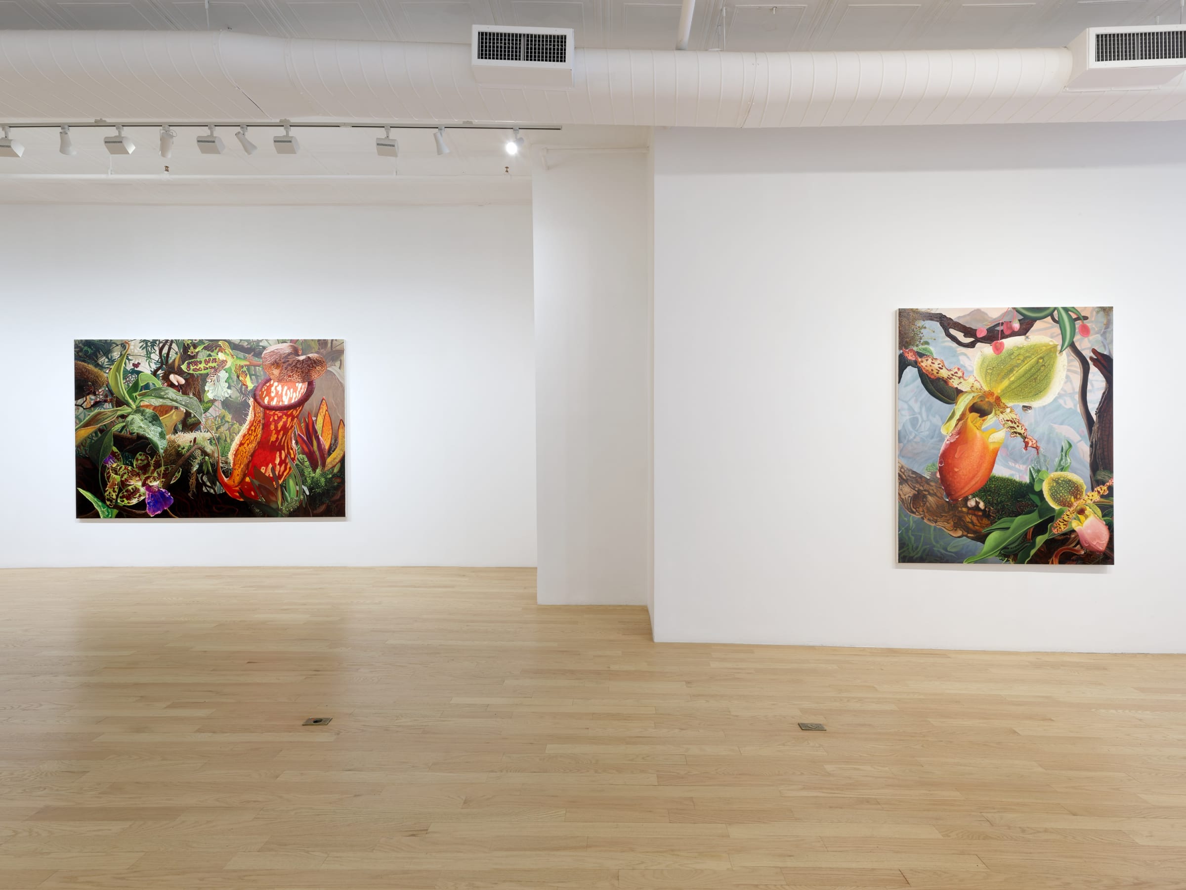 Kate Bickmore: On the Precipice | 6 September - 19 October 2024 | CHART