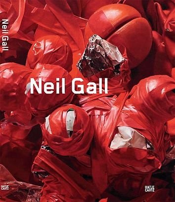 Publication: Neil Gall: Works 2007-2011 | David Nolan Gallery