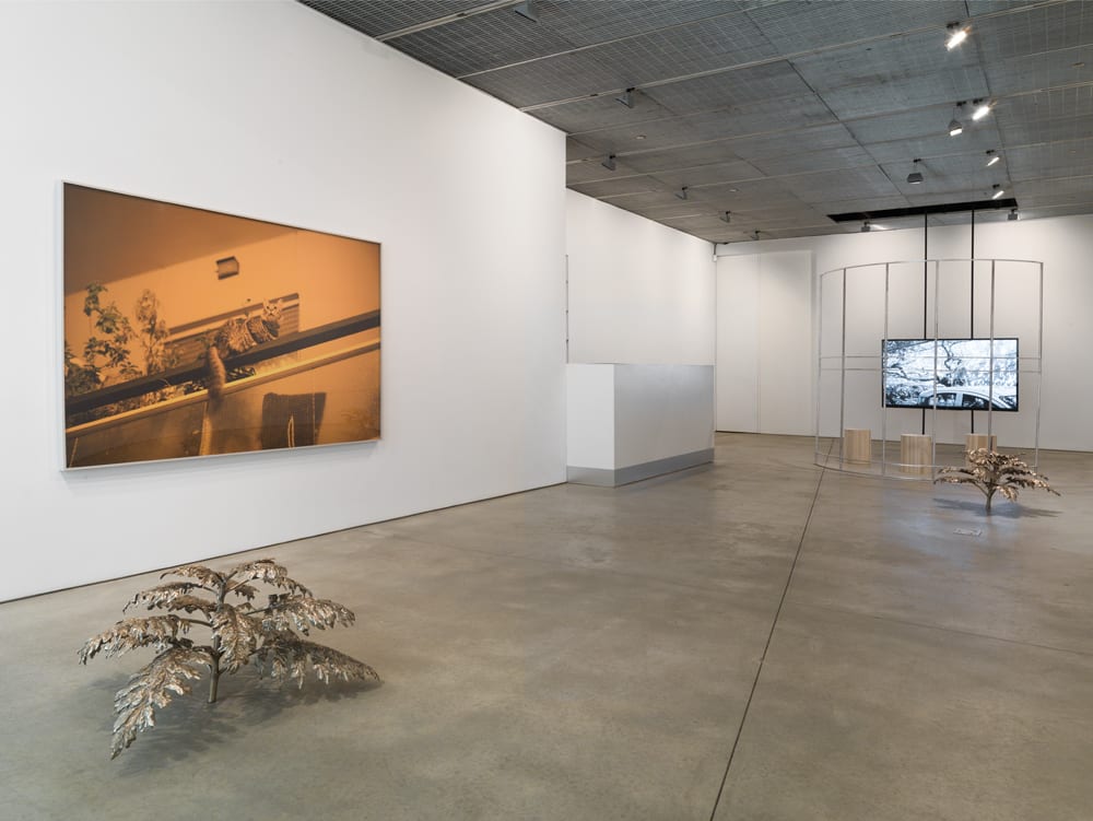 DAVID HARTT | David Nolan Gallery