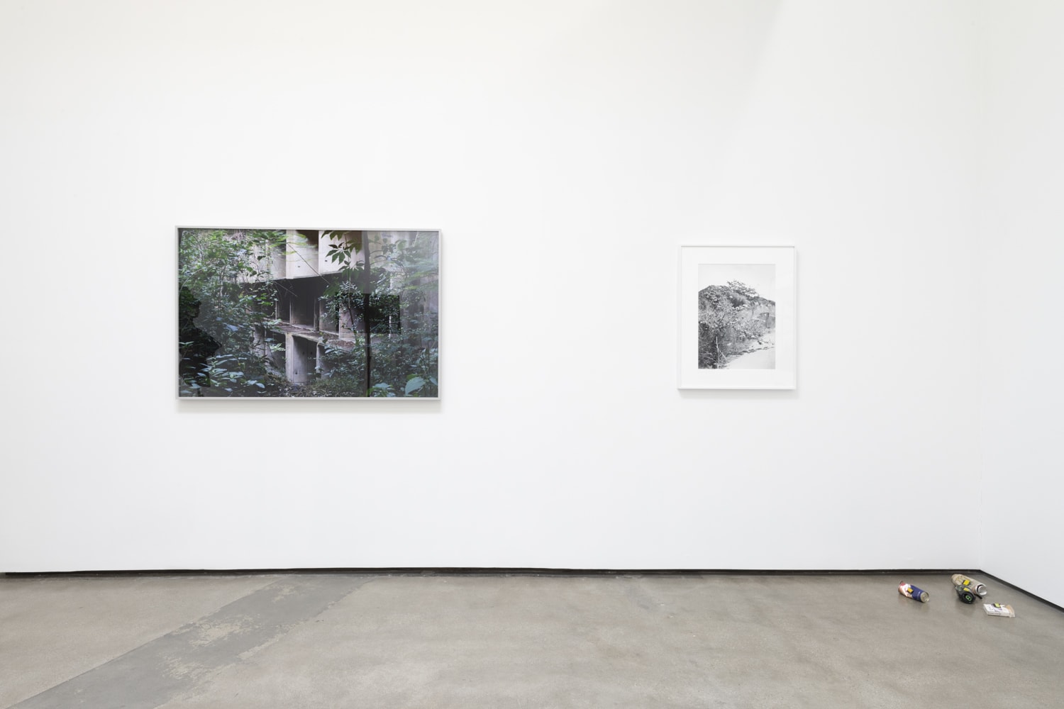 DAVID HARTT | David Nolan Gallery