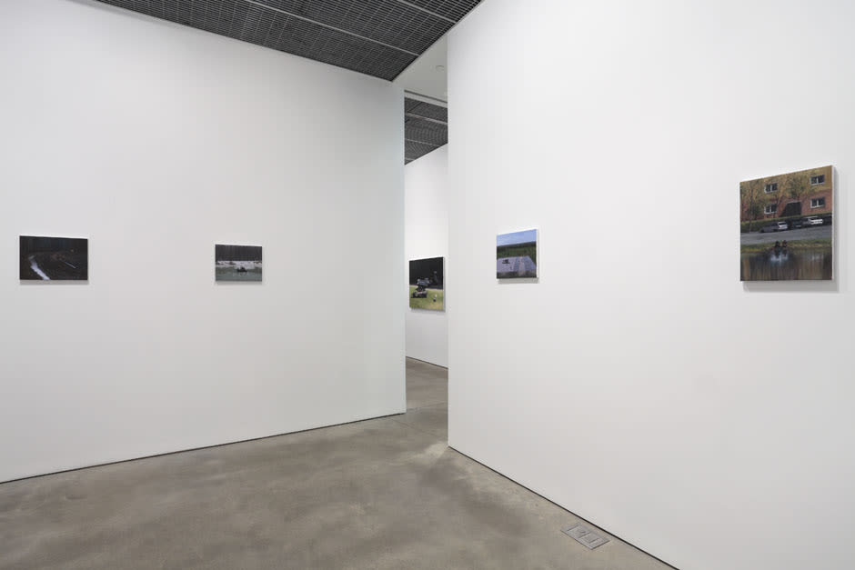 SERBAN SAVU | David Nolan Gallery