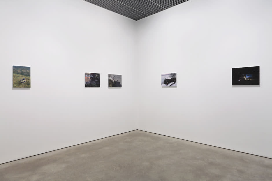 SERBAN SAVU | David Nolan Gallery