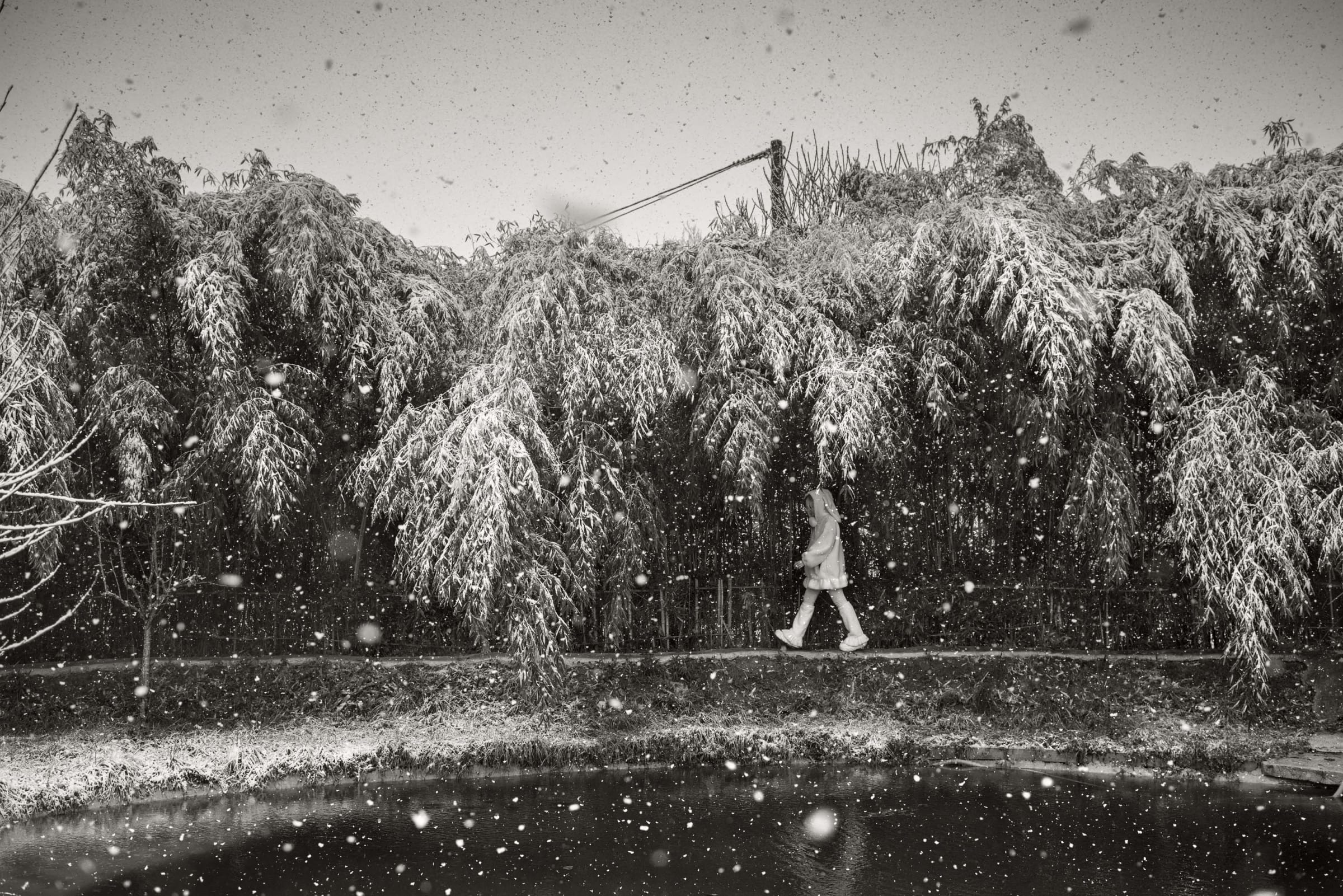 Alain Laboile | Echo Fine Arts