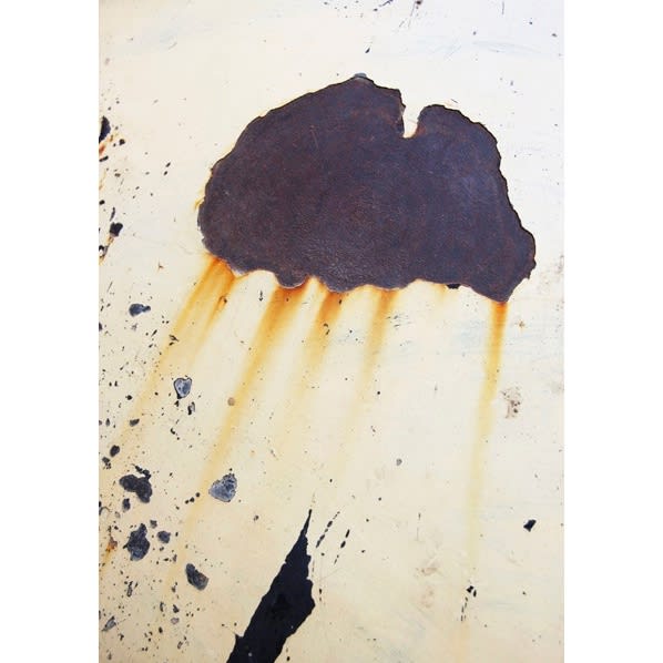 Cornelia Parker | Frith Street Gallery